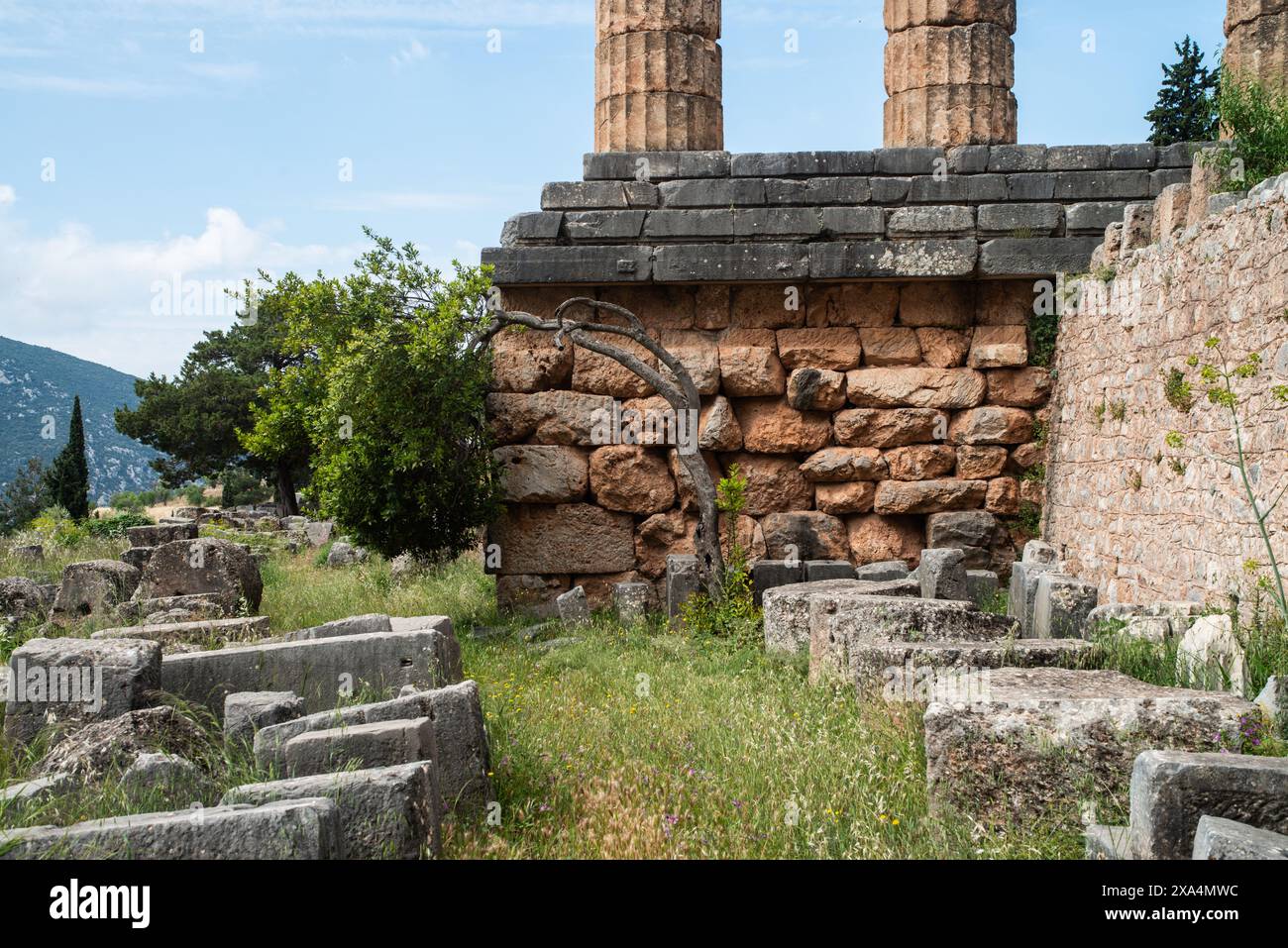 Oracolo delphi hi-res stock photography and images - Alamy