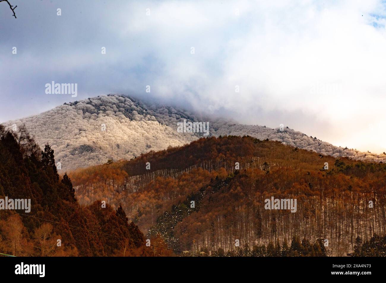 Hills of Yonaguni Island, Japan, Asia Copyright: LauraxGrier 1218-1896 ...
