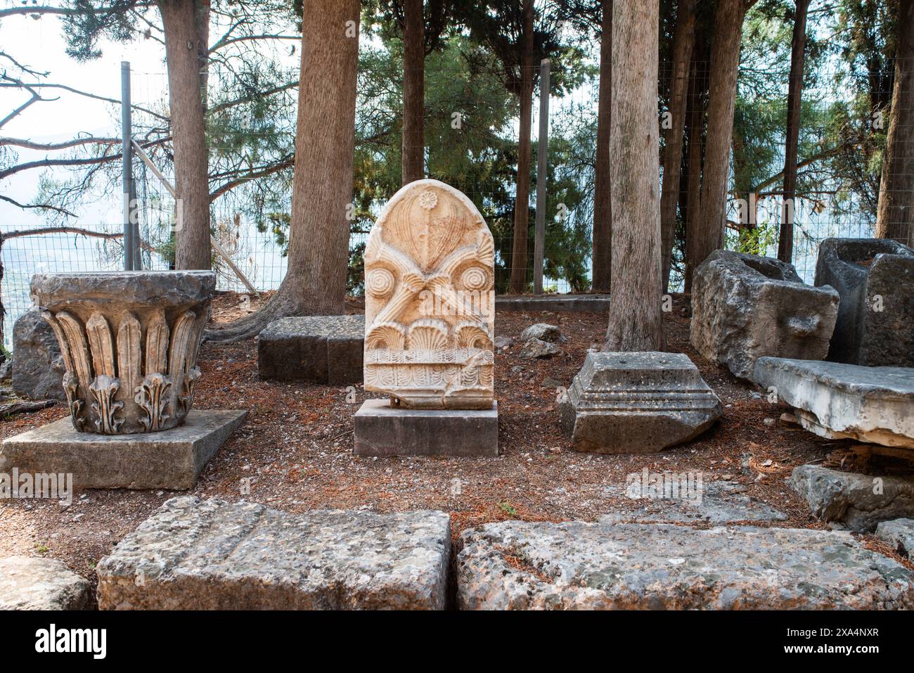 Oracolo delphi hi-res stock photography and images - Alamy