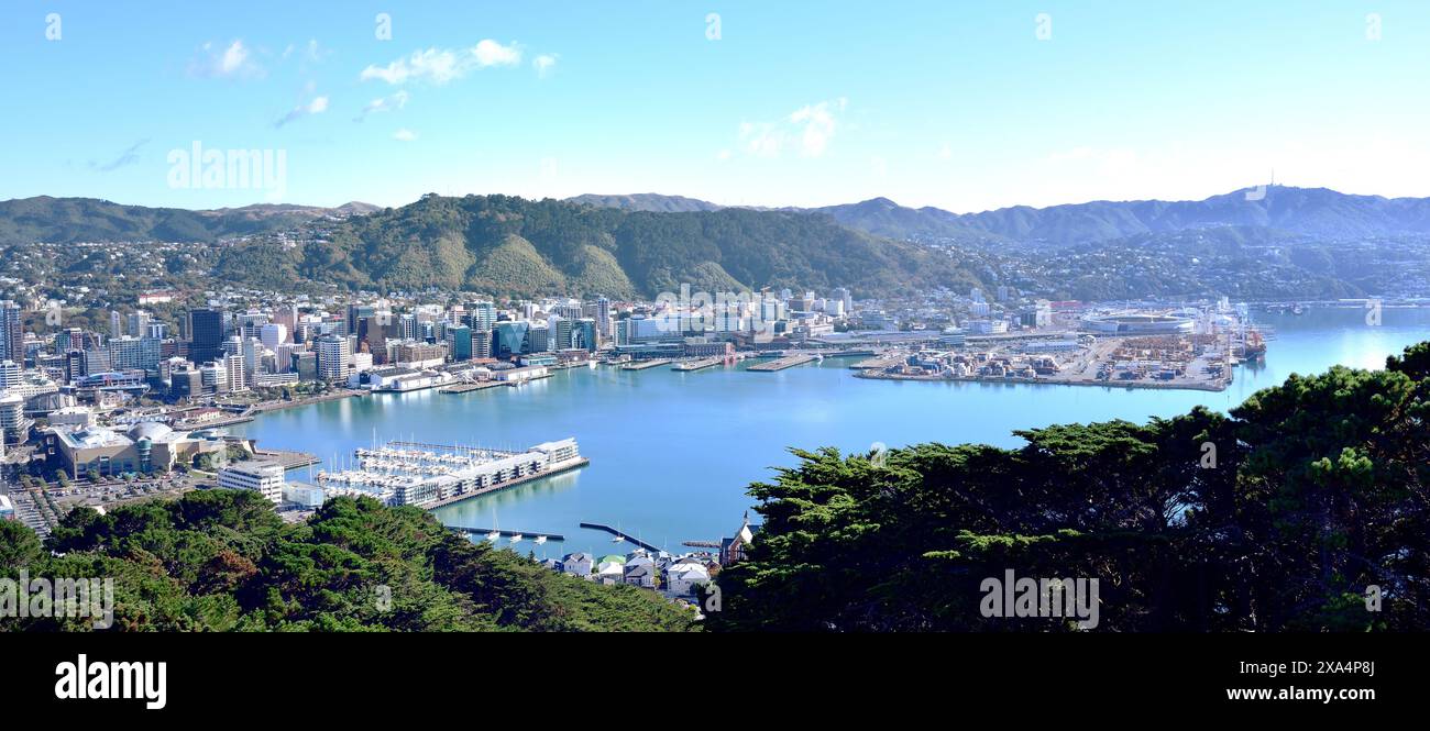 The city of Wellington, New Zealand as seen from Mount Victoria Stock ...
