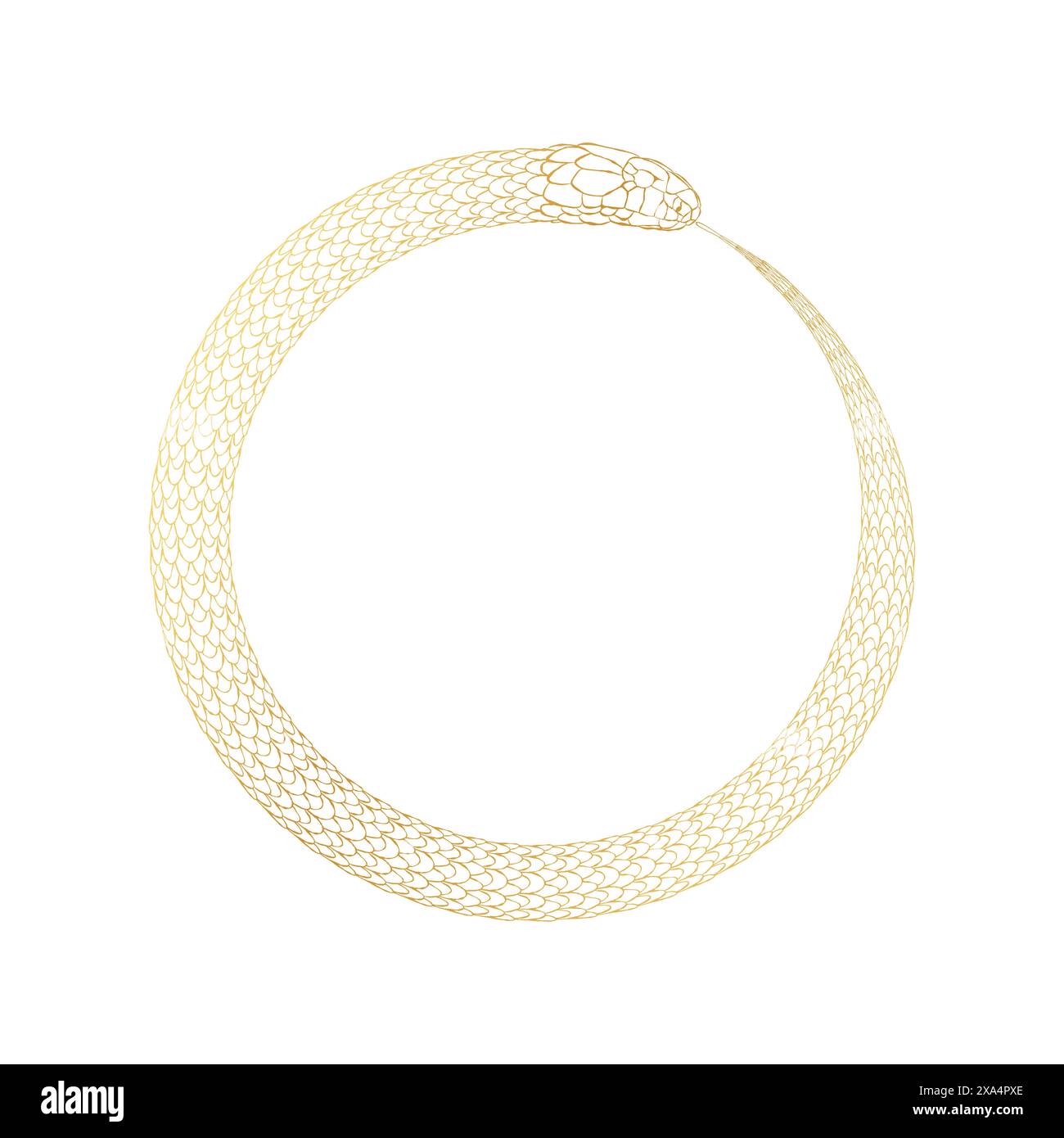 golden snake, silhouette, ouroboros vector outline, symbol 2025 ...