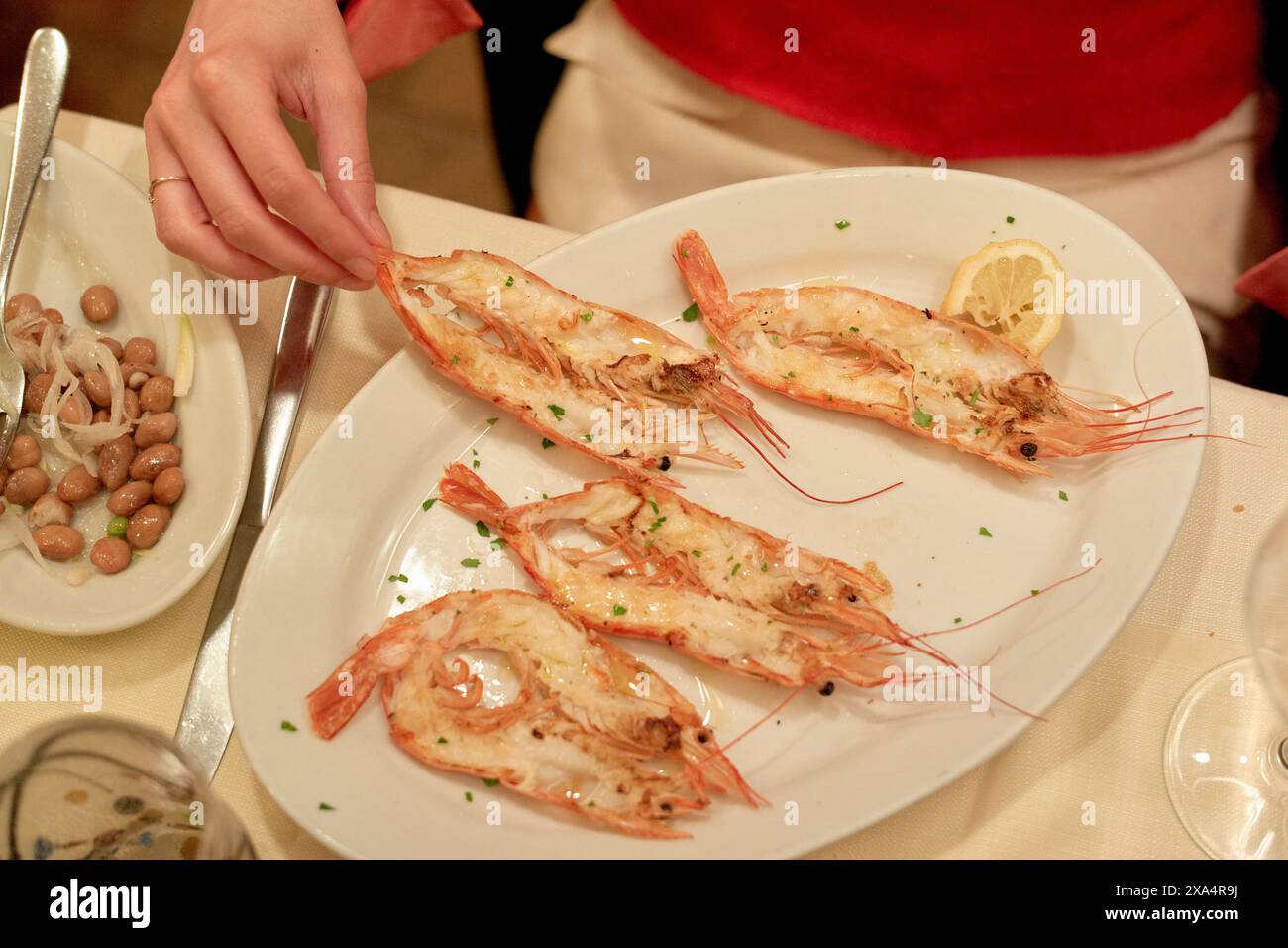 Fresh grilled shrimps served on a white plate with lemon and herbs ...