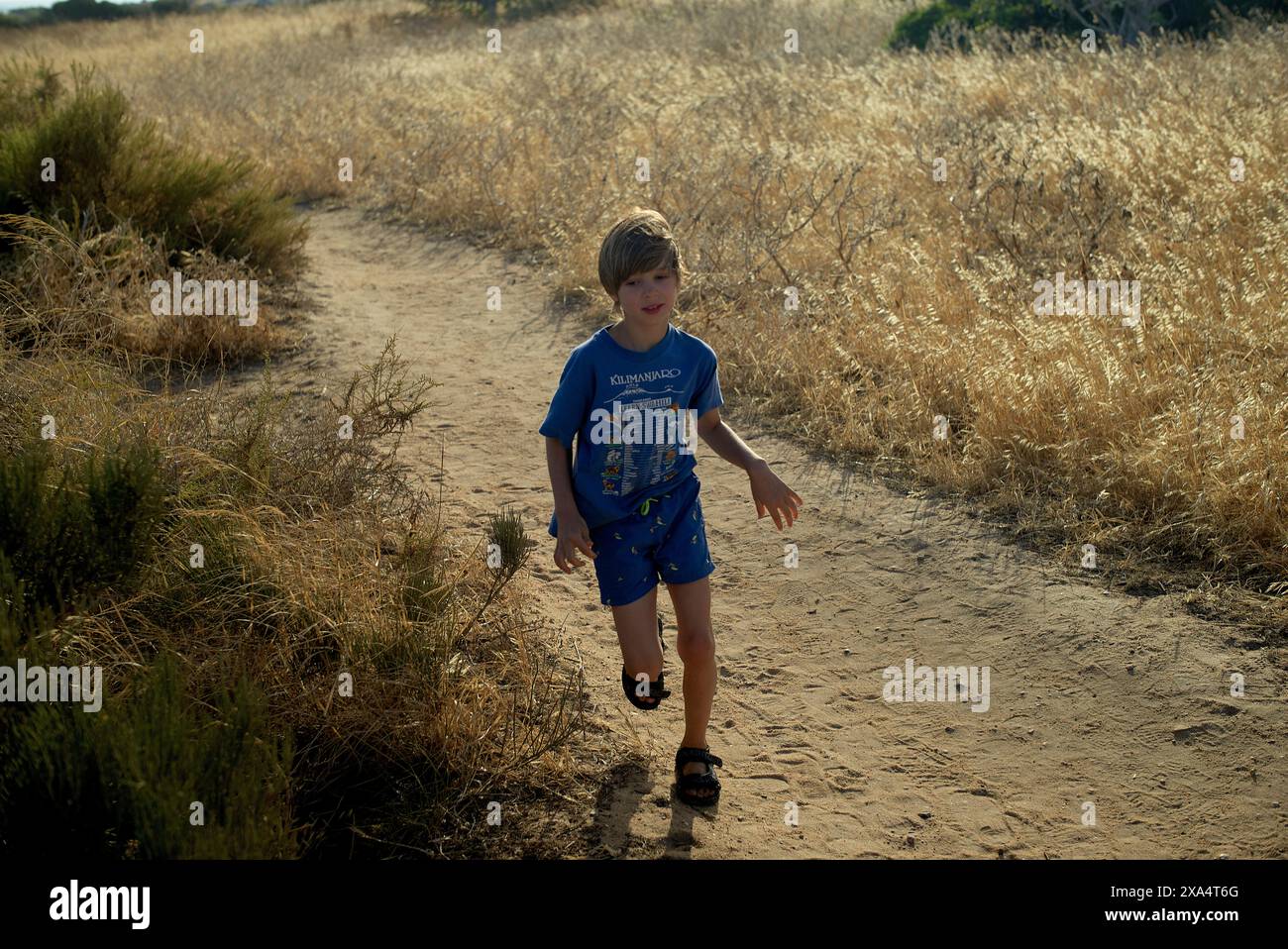 A tall boy hi-res stock photography and images - Alamy