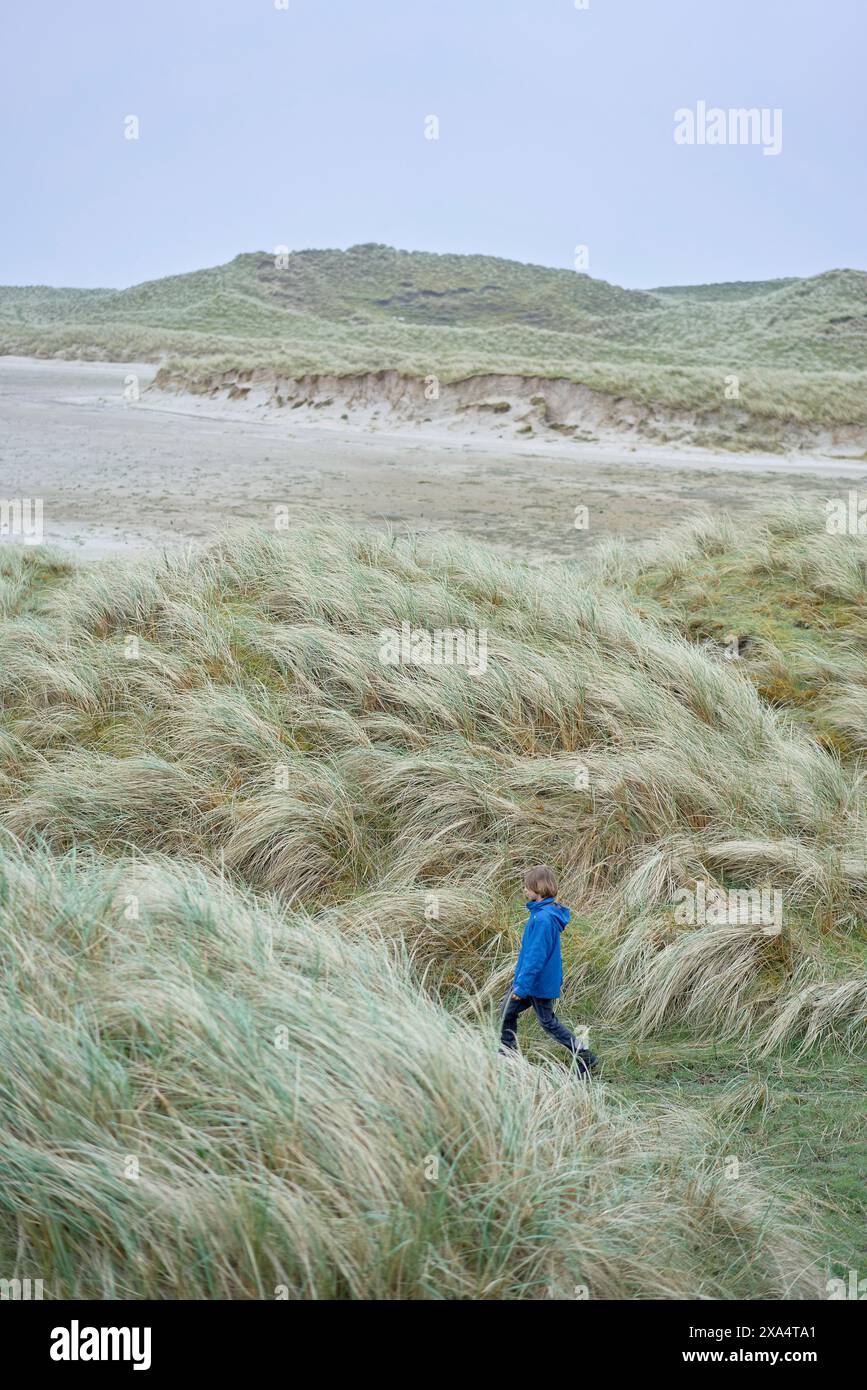 A child walks through a windswept grassy dune field under an overcast ...