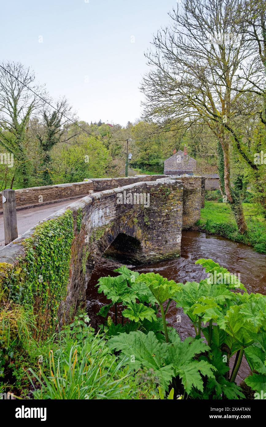 The medieval bridge at Hellandbridge that passes over the River Camel ...