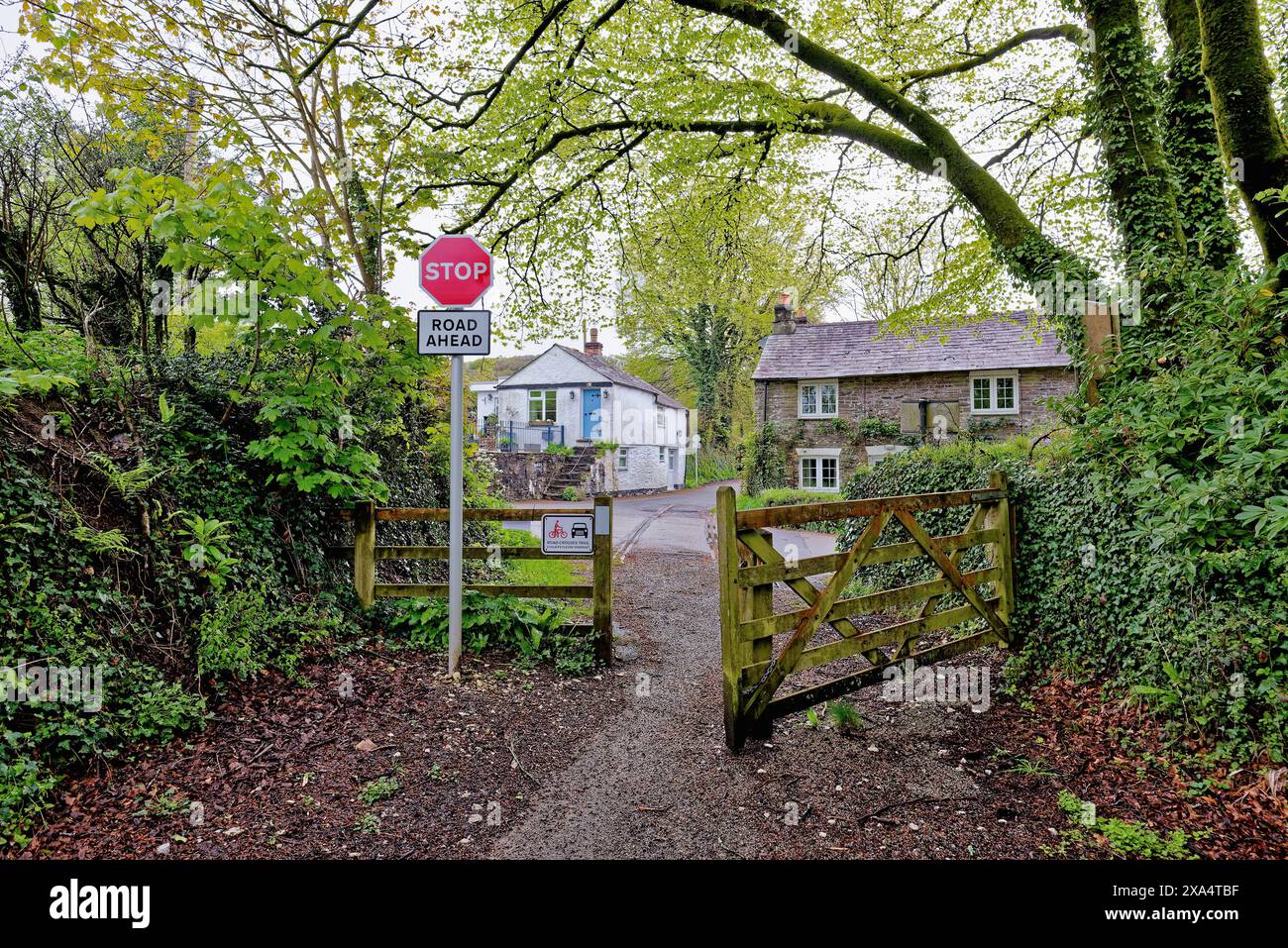 The Camel trail passing through of the hamlet of Hellandbridge North ...