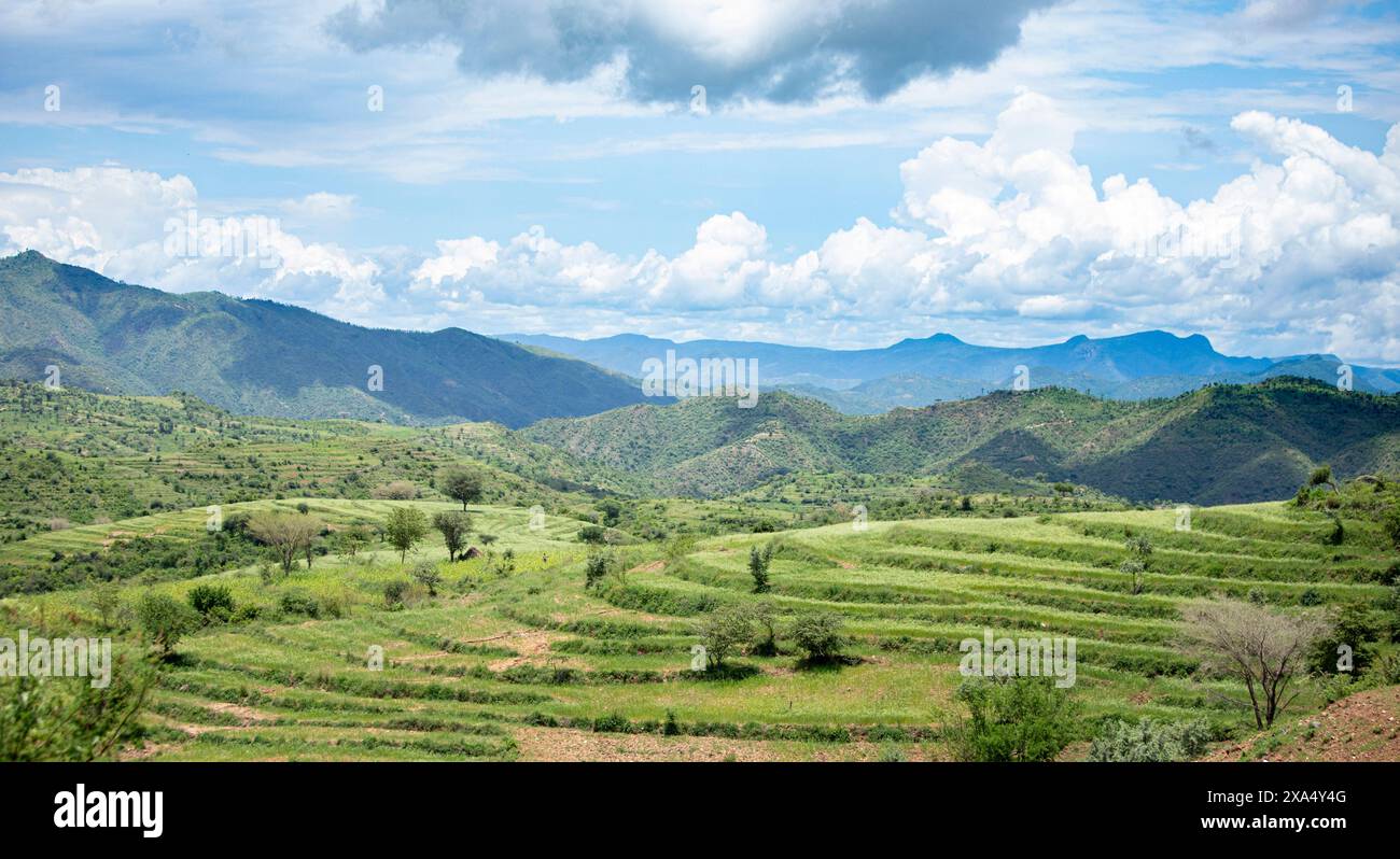Healthy farms in africa hi-res stock photography and images - Alamy