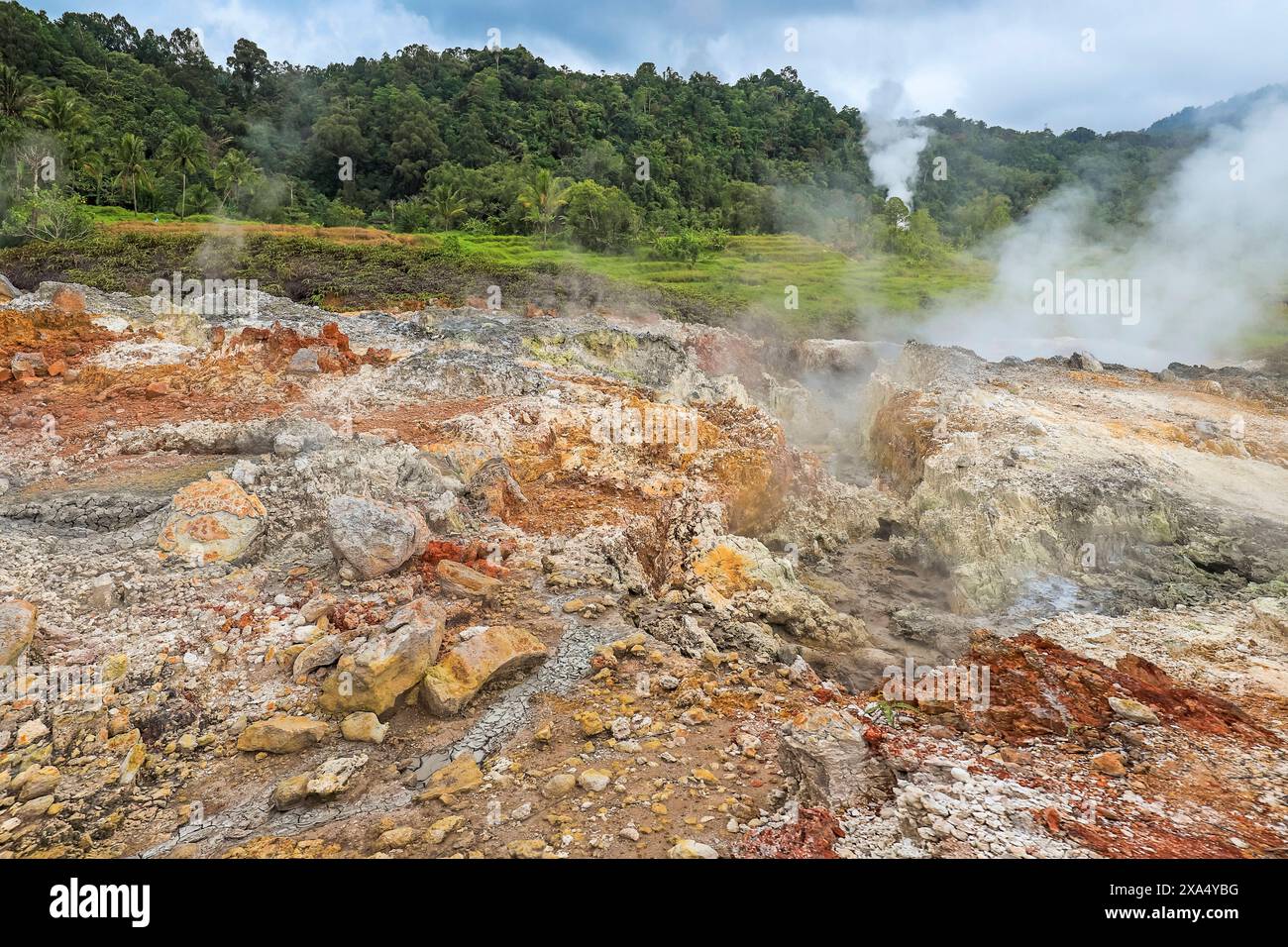 Sulphur and other minerals at an active fumarole field by Lake Linow, a ...