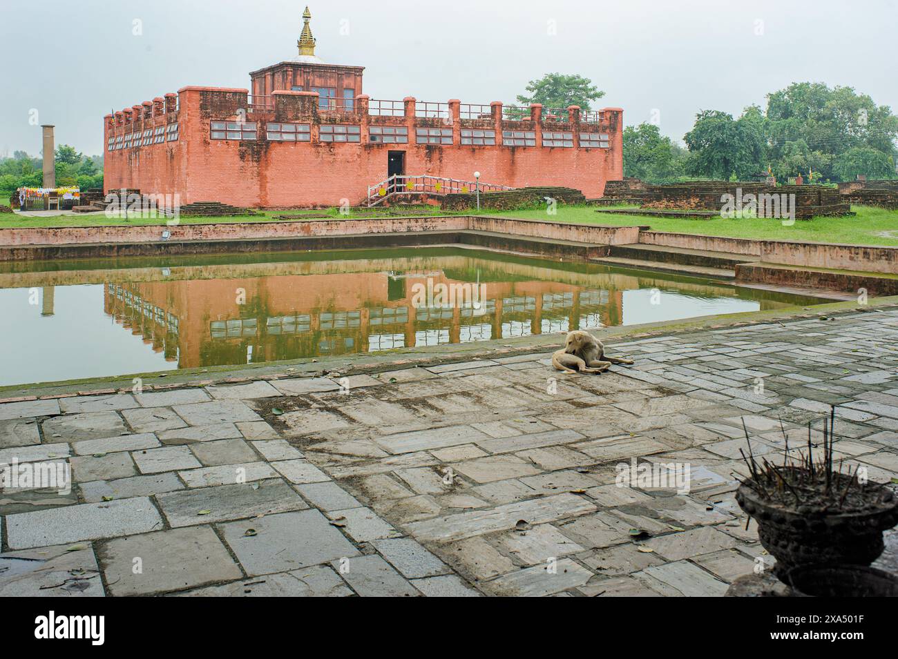 Maya devi temple hi-res stock photography and images - Alamy