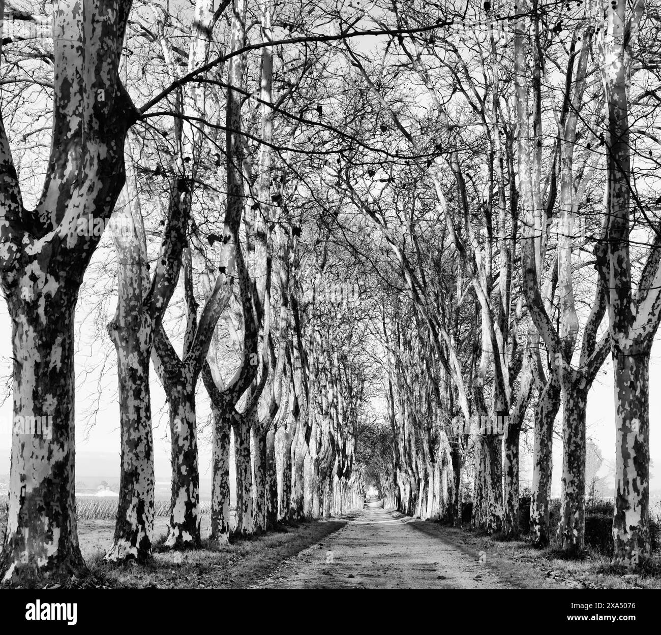 Pathway view hi-res stock photography and images - Alamy