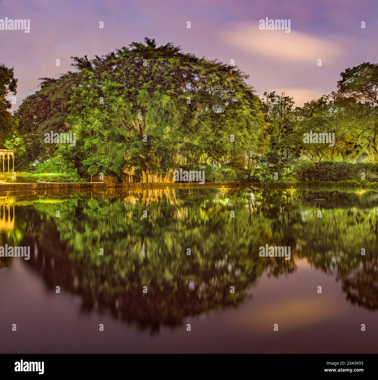 Twilight scenery of a tranquil lake reflecting lush green trees under a ...