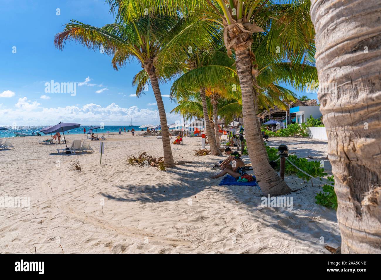 View of beach and palm trees at Puerto Morelos, Caribbean Coast ...