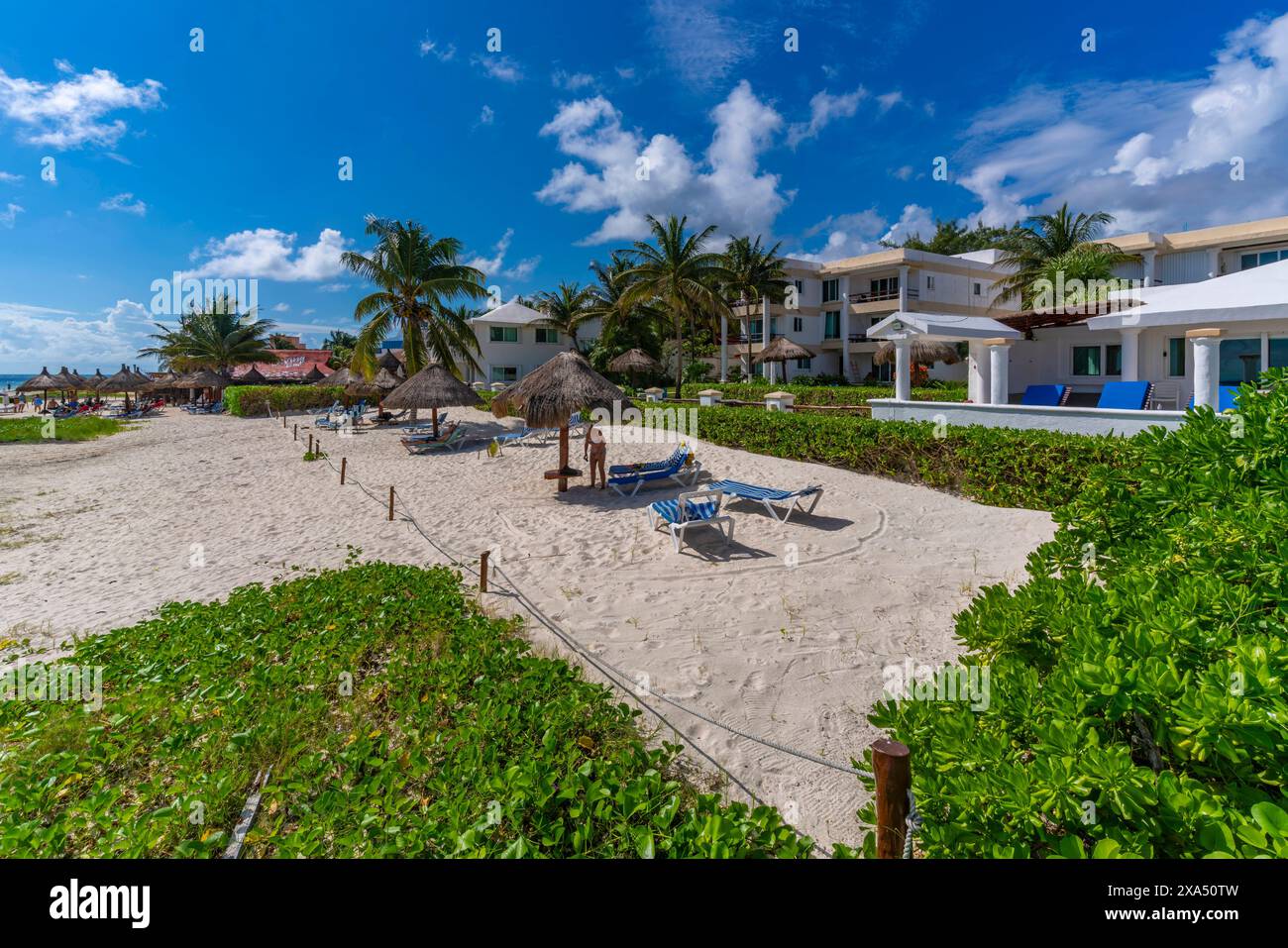 View of beach and sea at Puerto Morelos, Caribbean Coast, Yucatan ...