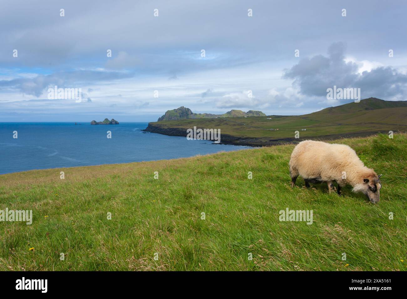 Westman Islands beach view with archipelago island in background ...