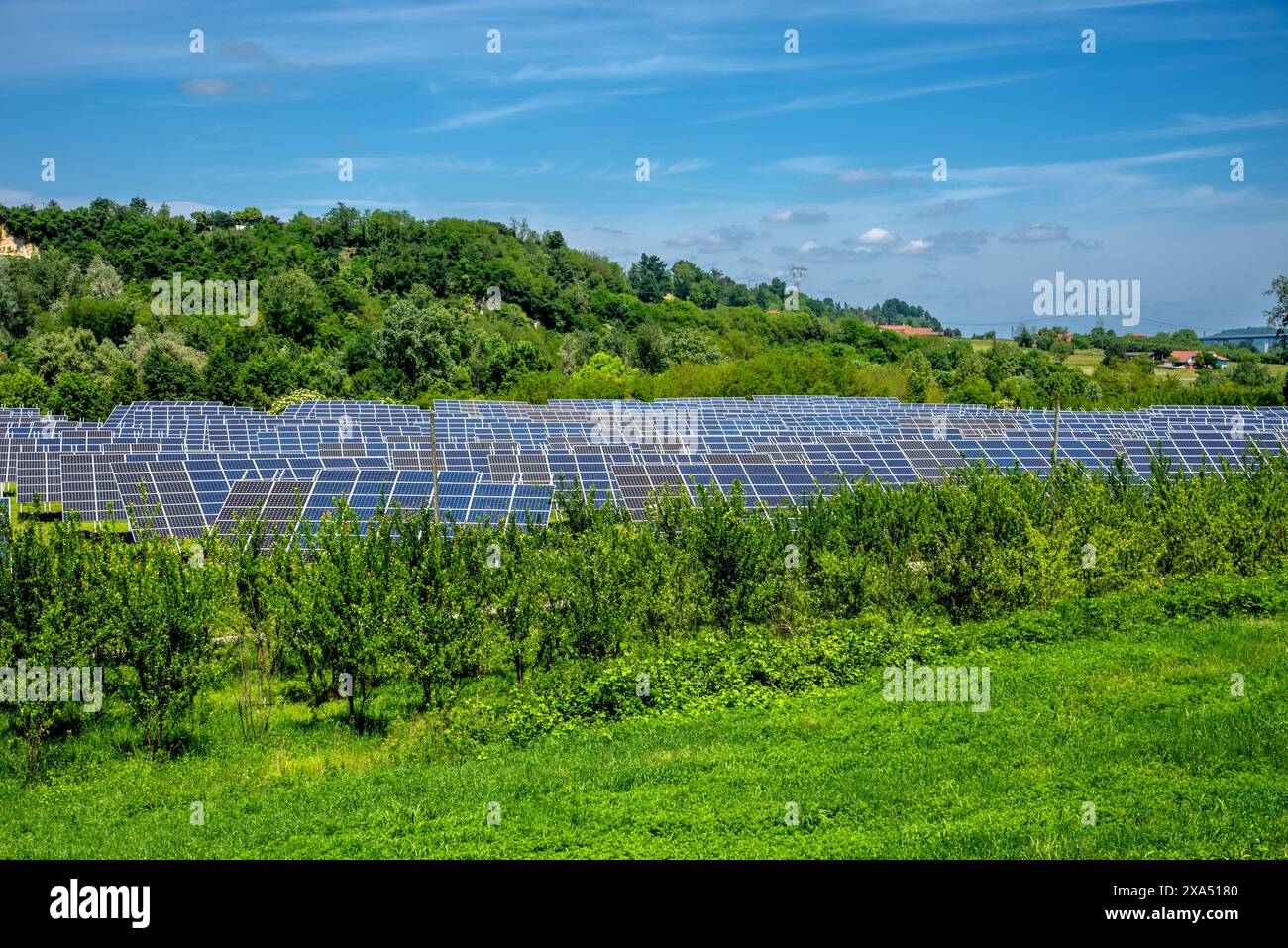 Solar panel park installed in vegetation in the hills in Piedmont ...