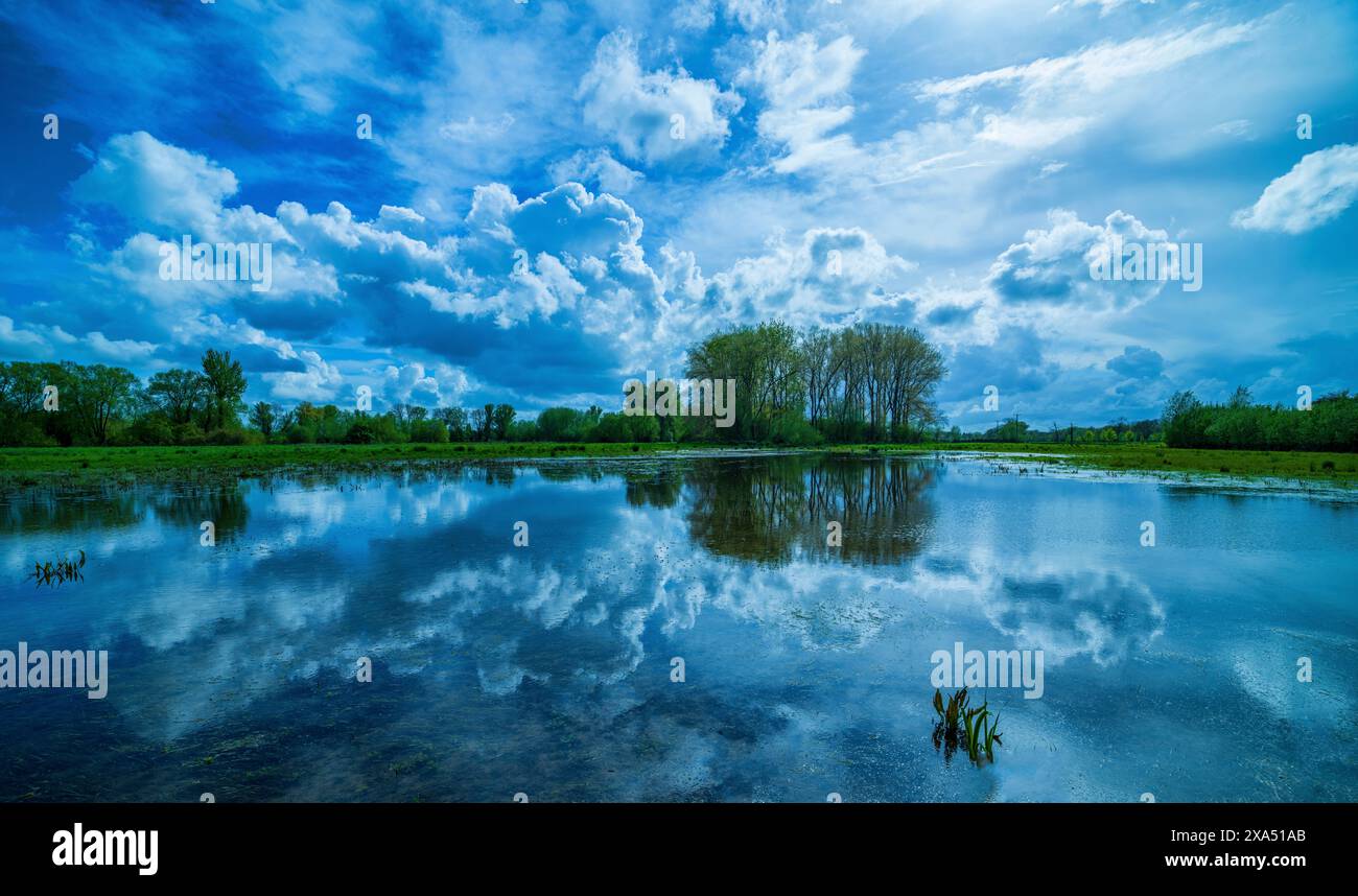 Serene riverside landscape with a vivid blue sky and fluffy clouds ...