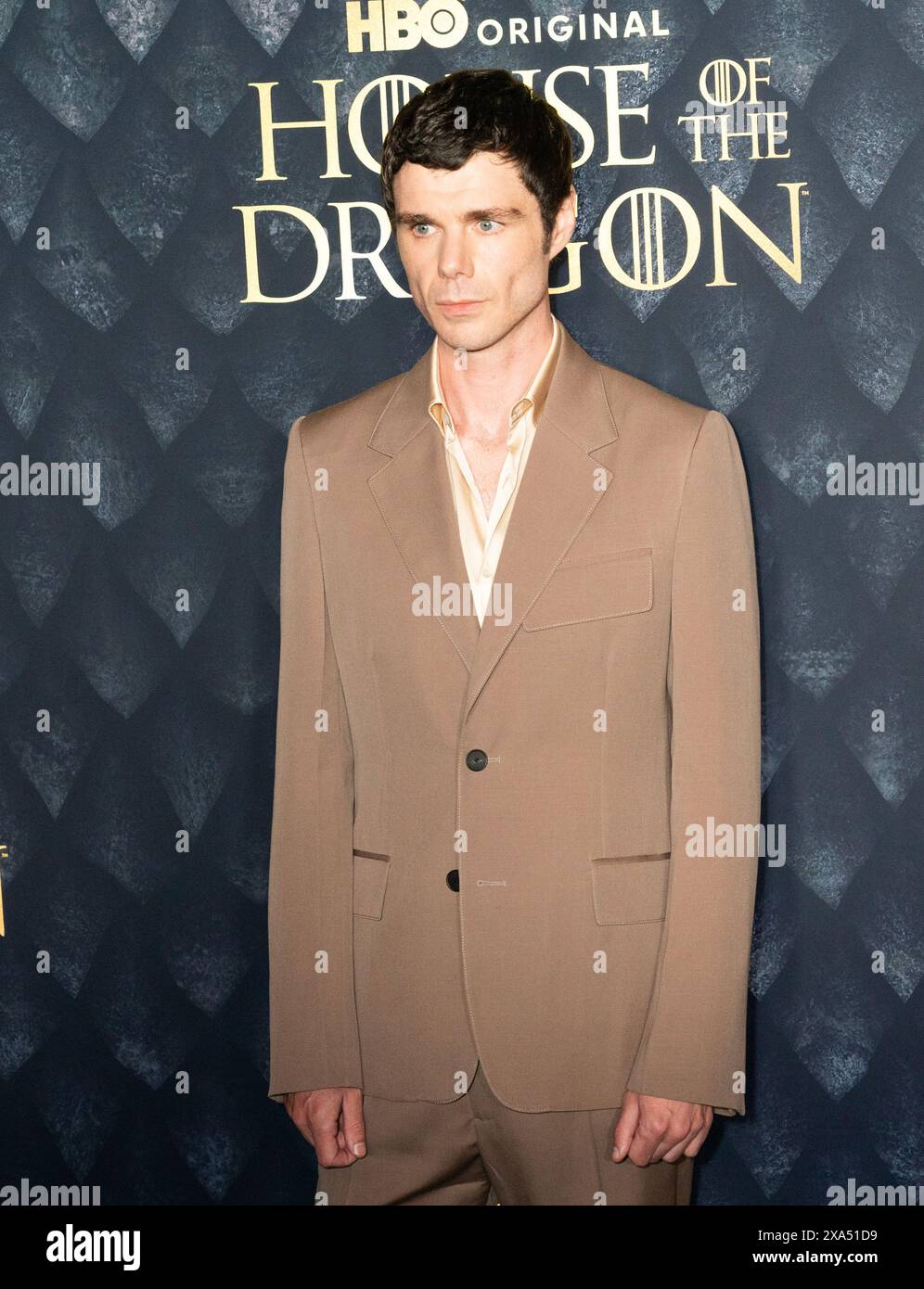 Matthew Needham attends premiere of HBO 'House of Dragon' at ...
