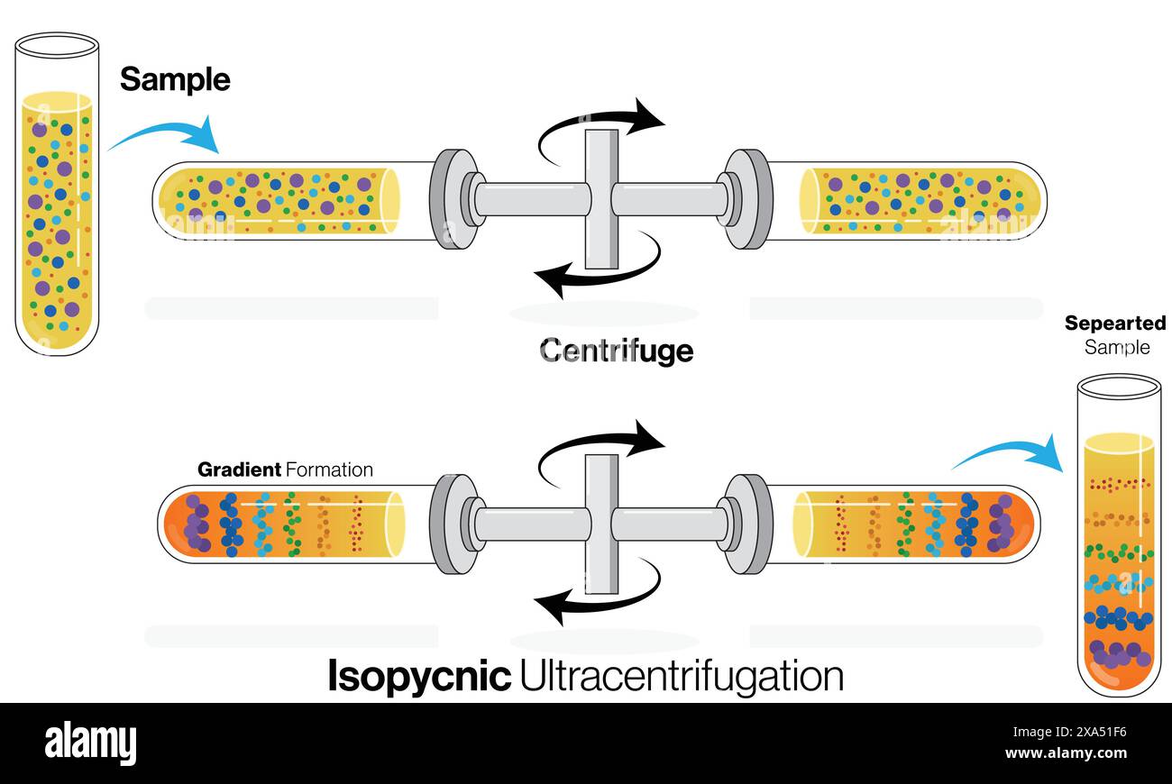 Density gradient diagram hi-res stock photography and images - Alamy