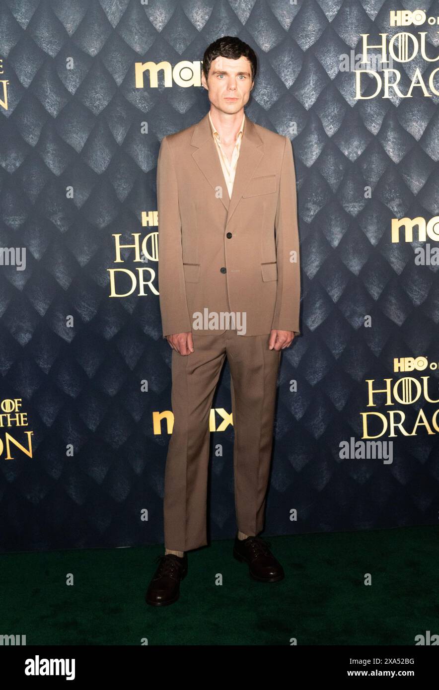 Matthew Needham attends premiere of HBO 'House of Dragon' at ...