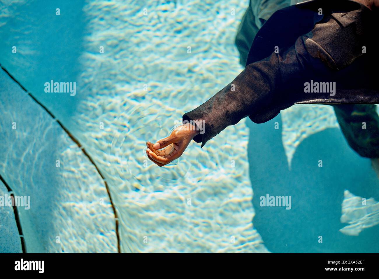 Arm extended over clear sparkling pool water, reflecting sunlight and ...