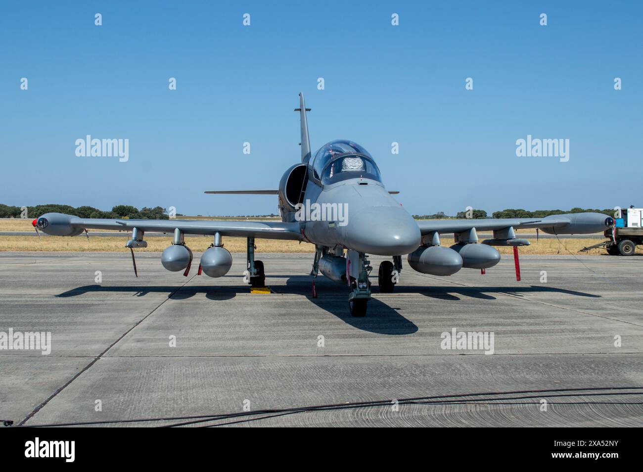 159 alca hi-res stock photography and images - Alamy