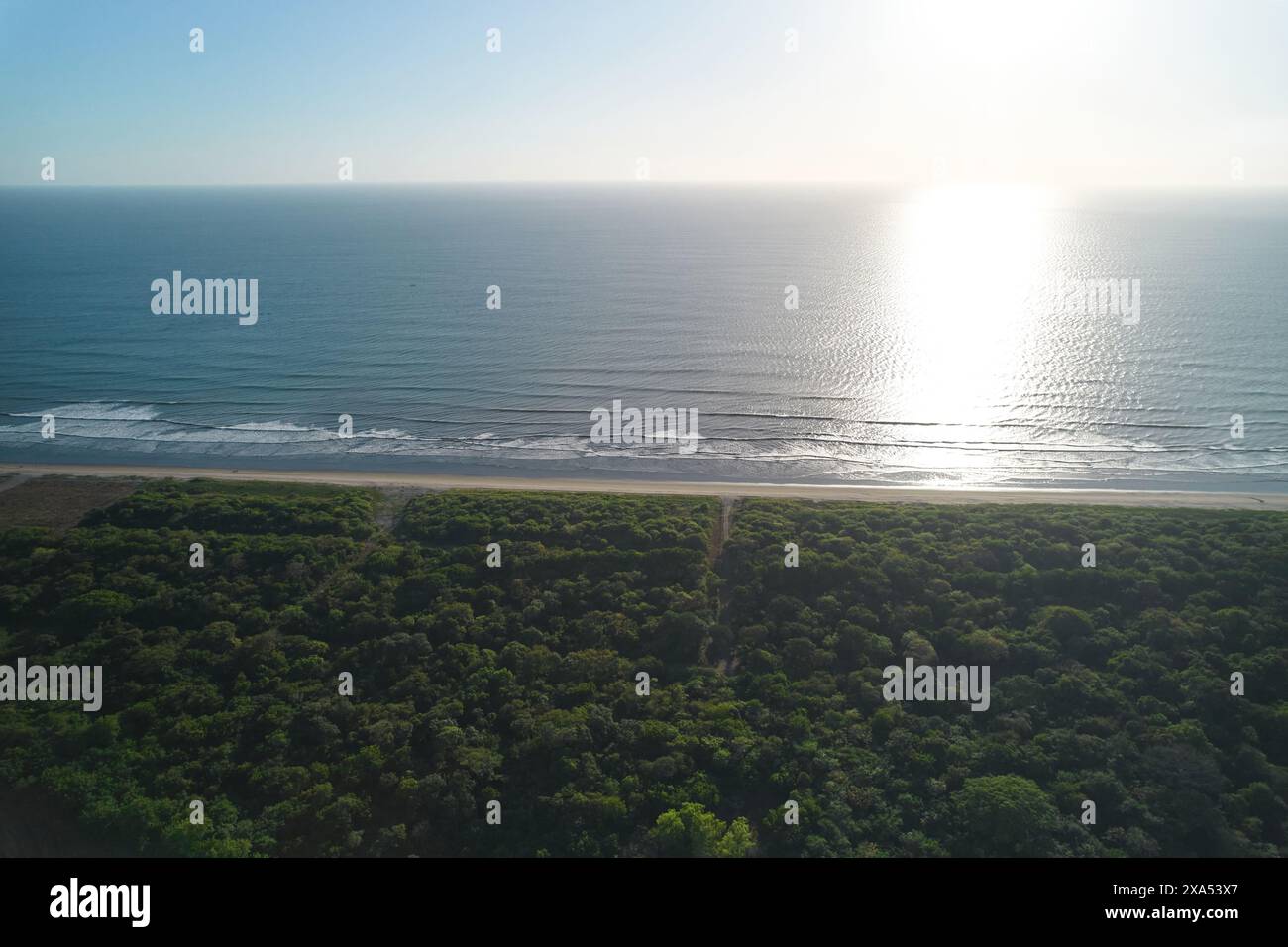 Panorama sea landscape aerial view with greenery on beach Stock Photo ...