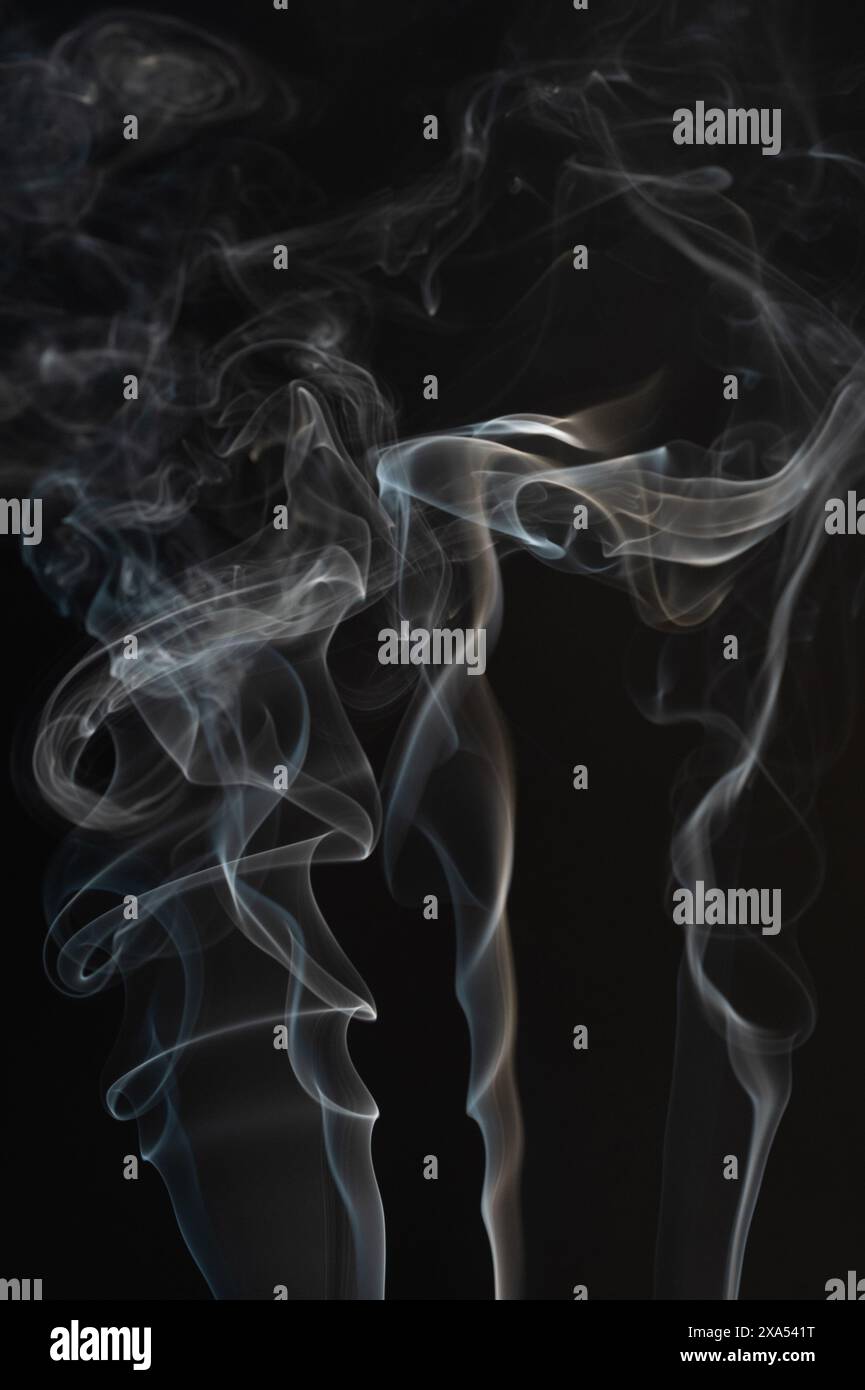 Magic transparent smoke lines on black studio background Stock Photo ...