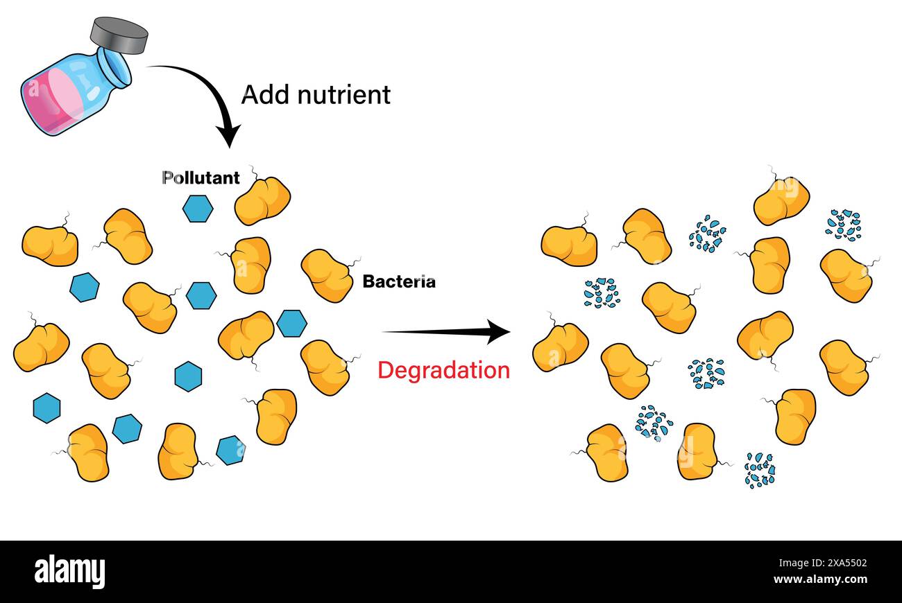 Detailed Vector Illustration of Biostimulation Technique for ...