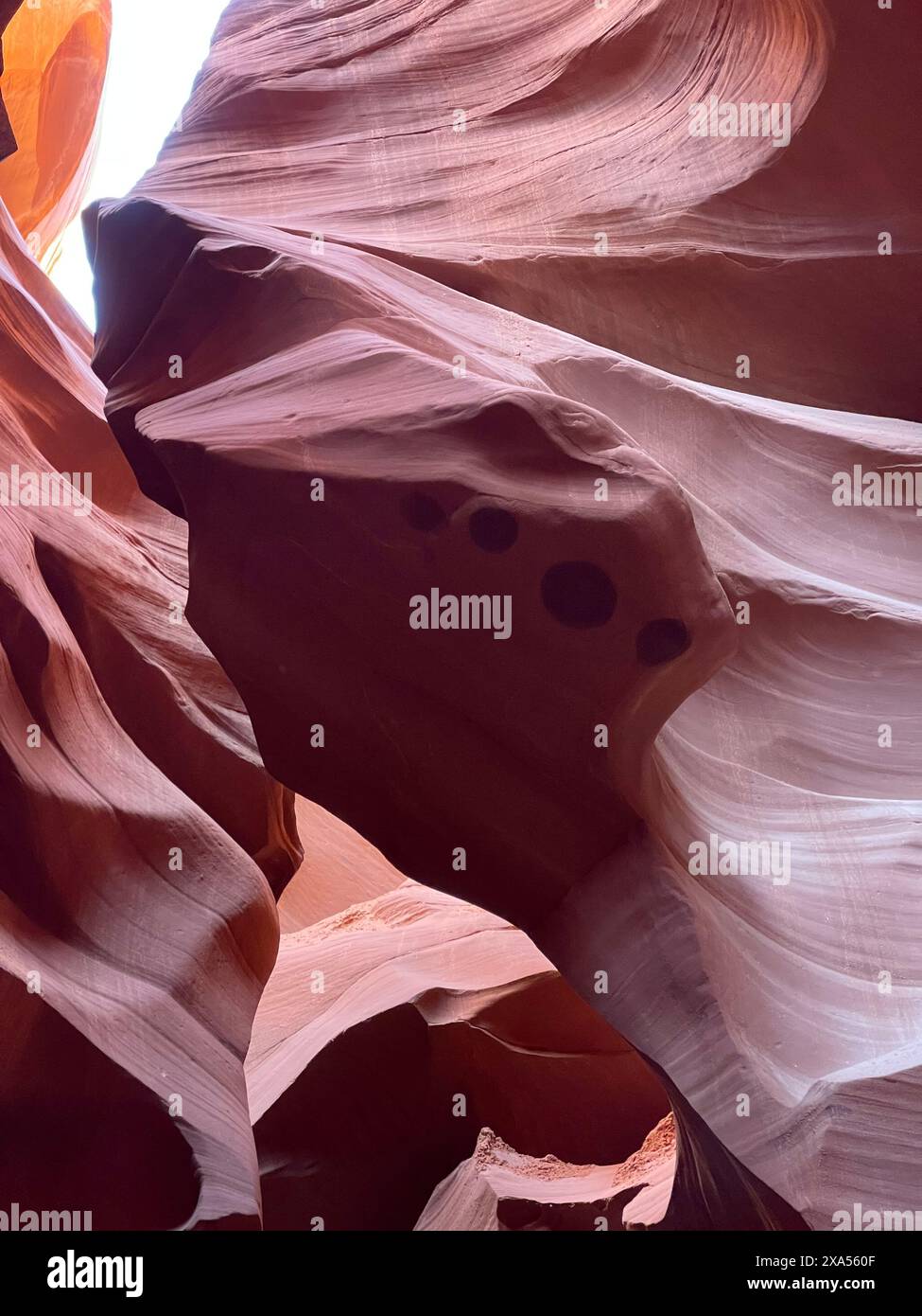The Antelope Canyon with rocks and sparse vegetation in Arizona Stock ...