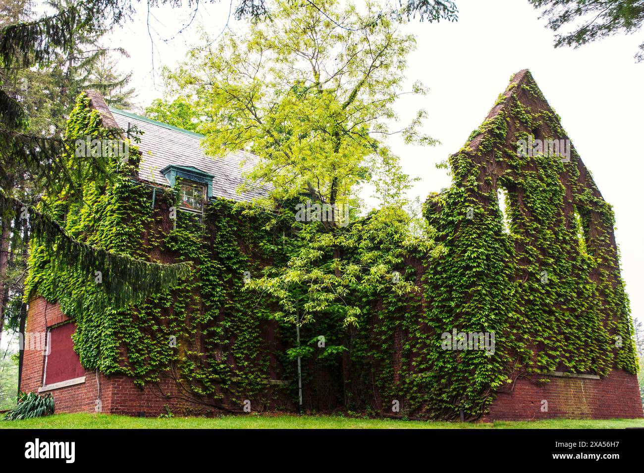 Landscapes and Seascape and animals adds variety to images Stock Photo ...