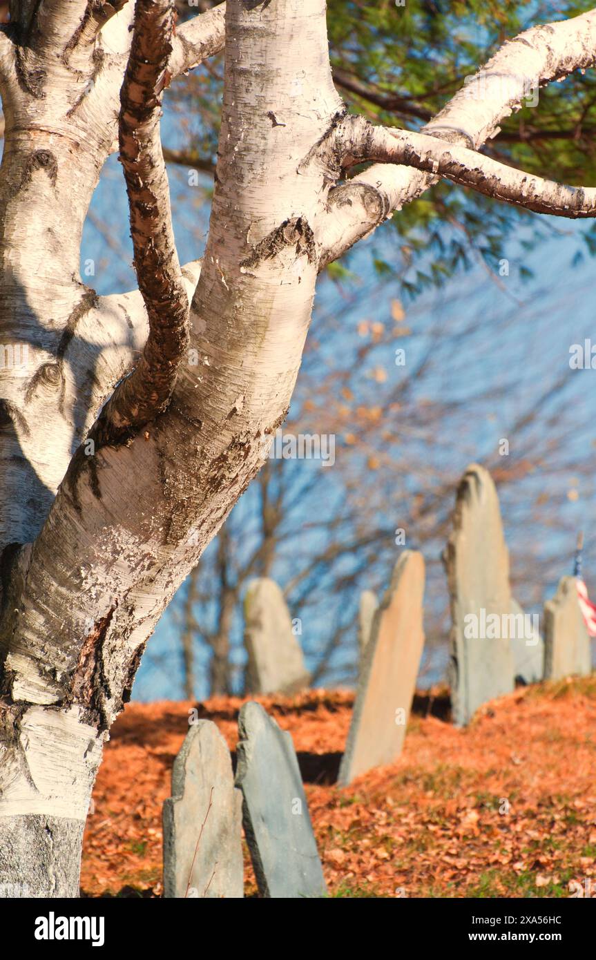 Landscapes and Seascape and animals adds variety to images Stock Photo ...