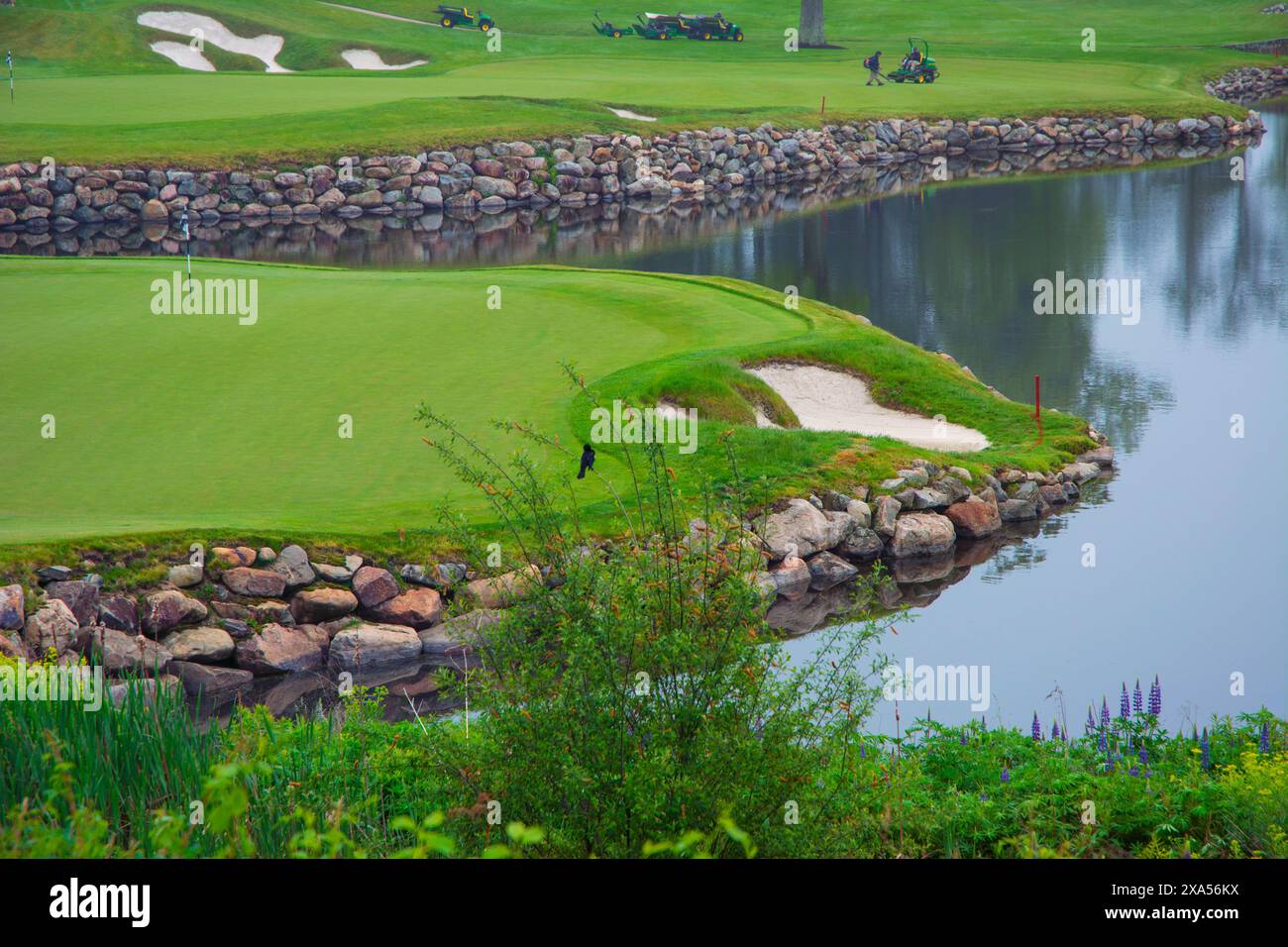 Landscapes and Seascape and animals adds variety to images Stock Photo ...