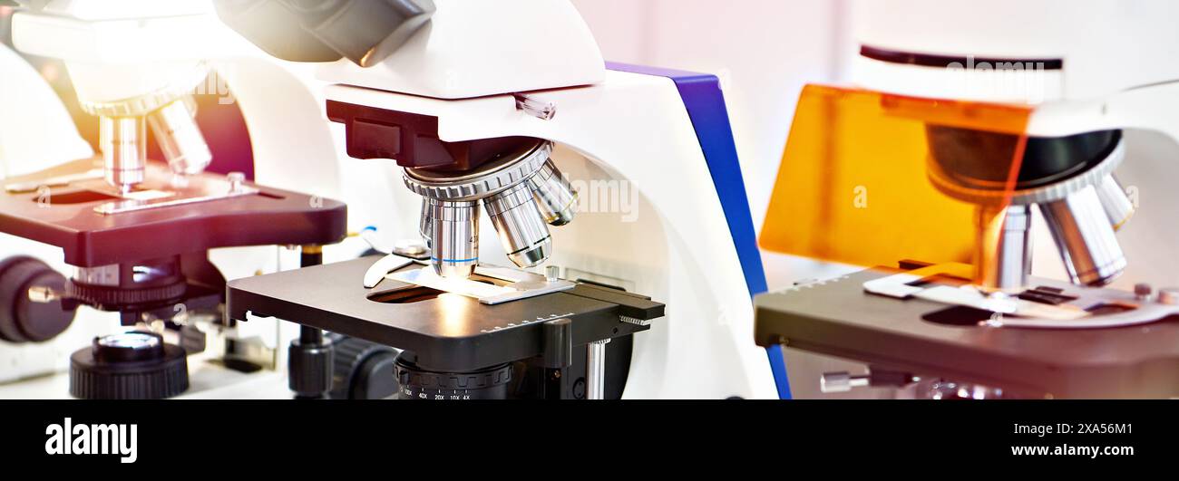 Stereo microscopes hi-res stock photography and images - Alamy