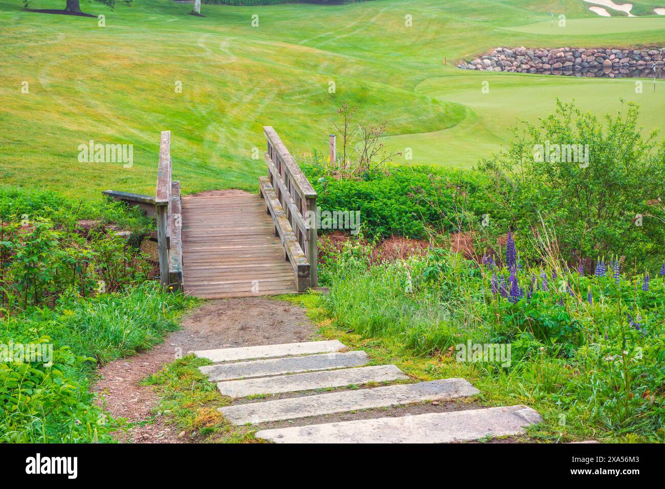 Landscapes and Seascape and animals adds variety to images Stock Photo ...