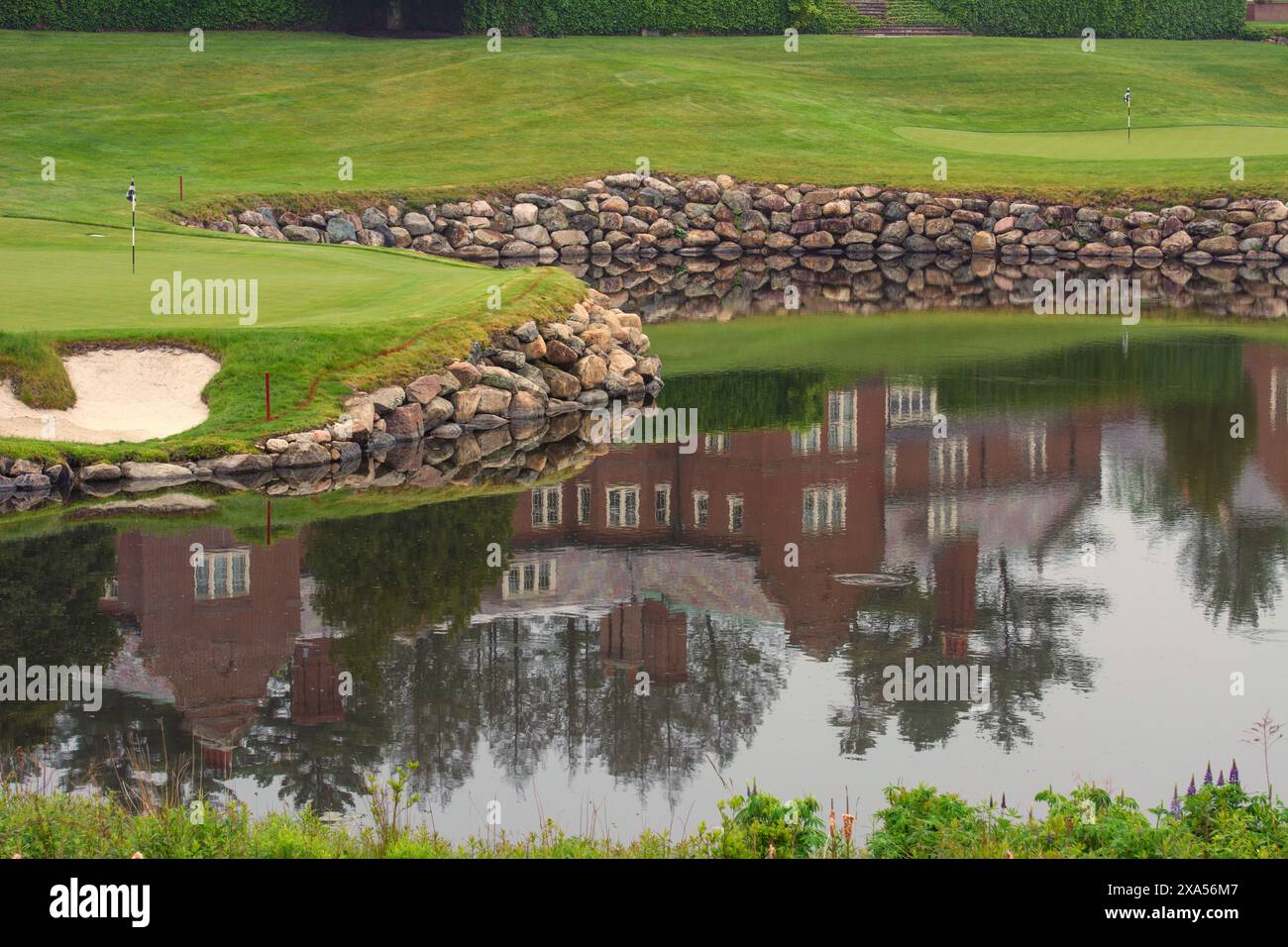 Landscapes and Seascape and animals adds variety to images Stock Photo ...