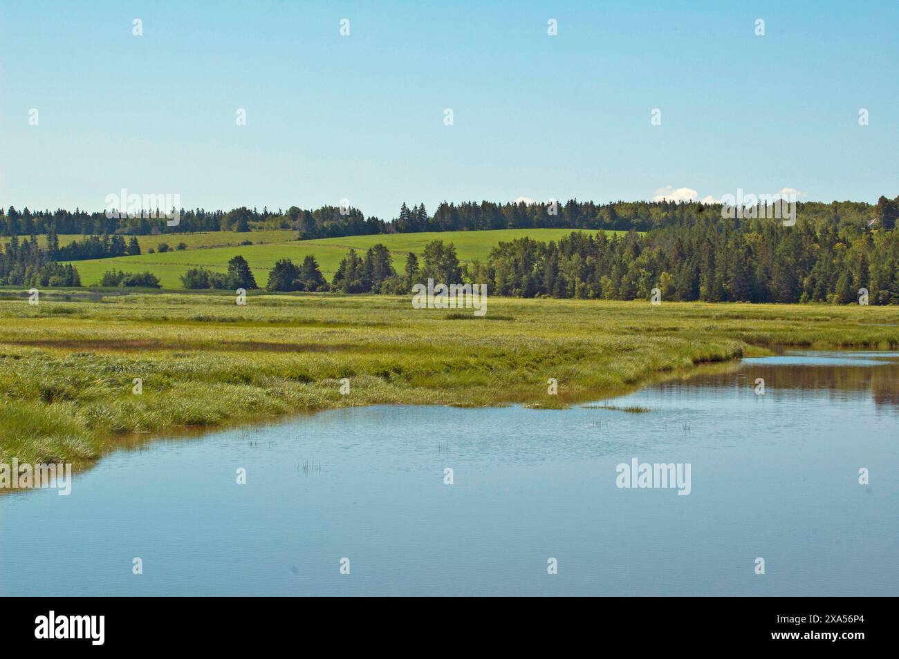 Landscapes and Seascape and animals adds variety to images Stock Photo ...