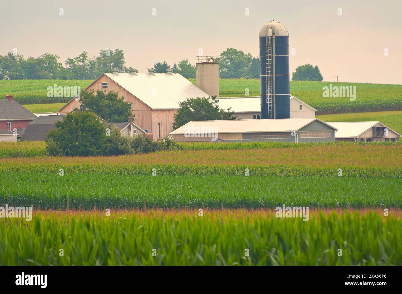 Landscapes and Seascape and animals adds variety to images Stock Photo ...