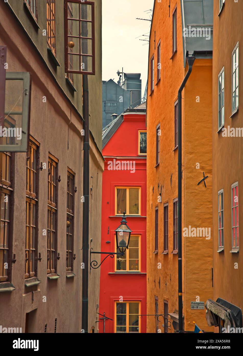 Landscapes and Seascape and animals adds variety to images Stock Photo ...