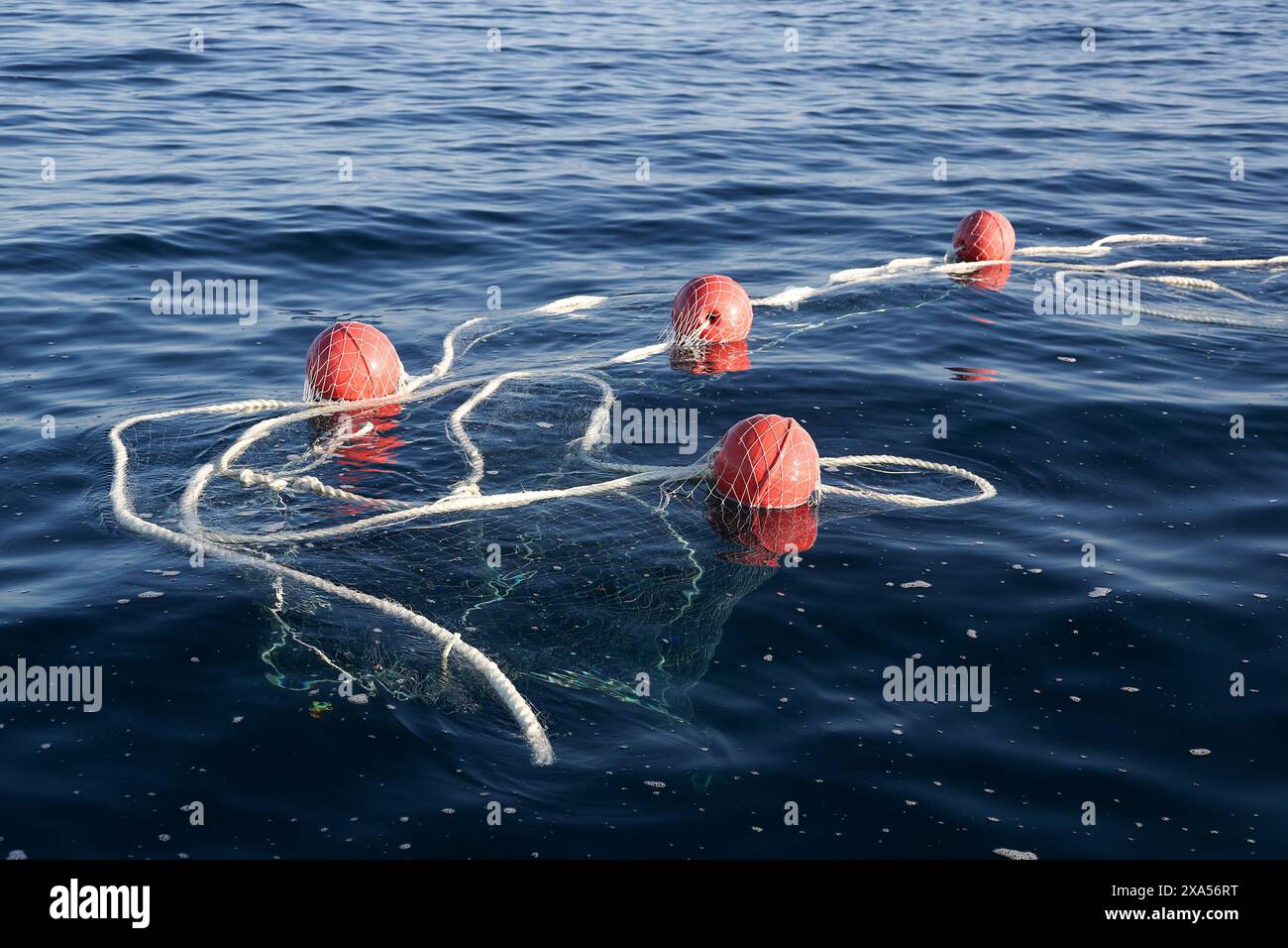 (240604) -- SANSHA, June 4, 2024 (Xinhua) -- This photo taken on May 15 ...