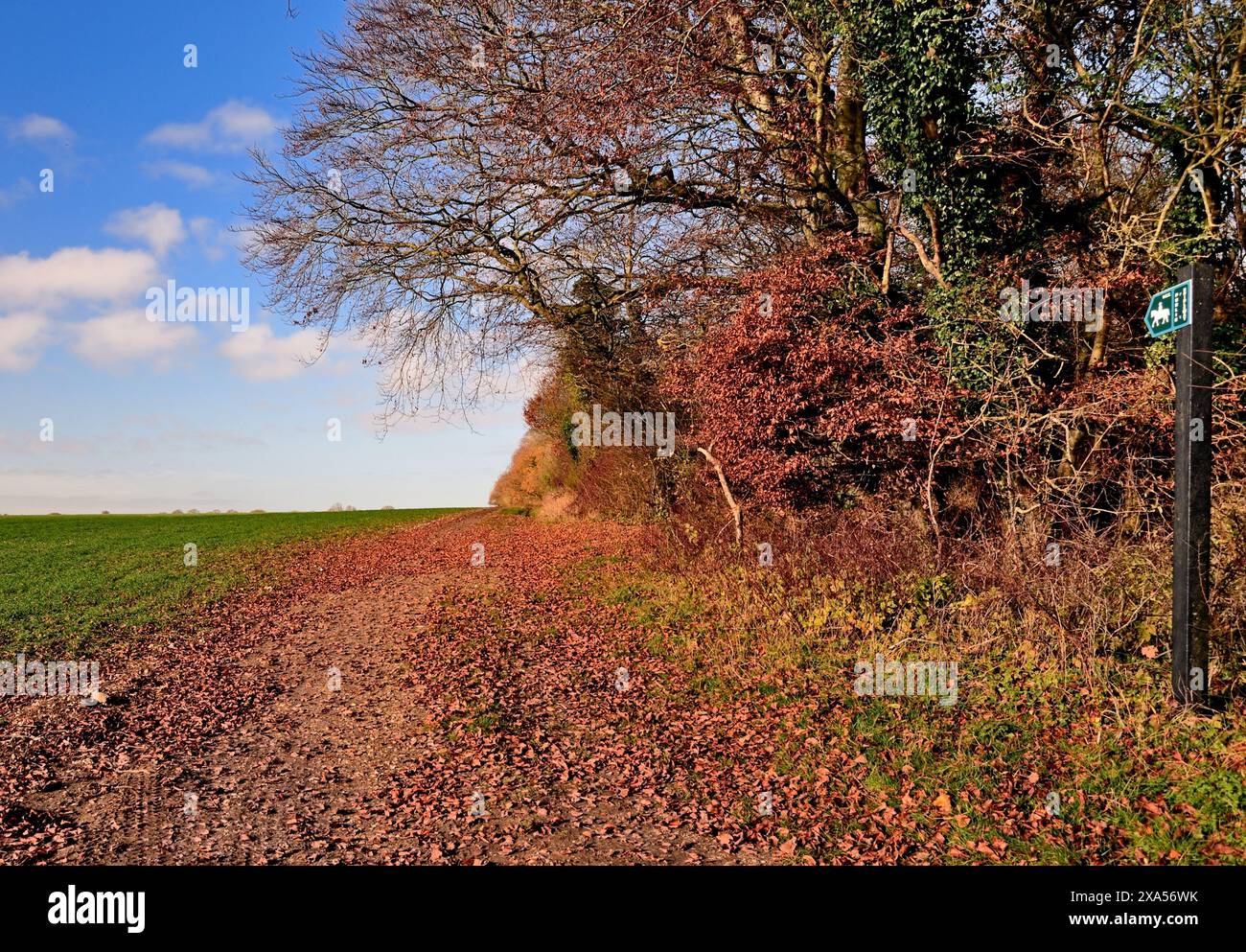 Autumn colours along a field edge path Stock Photo - Alamy