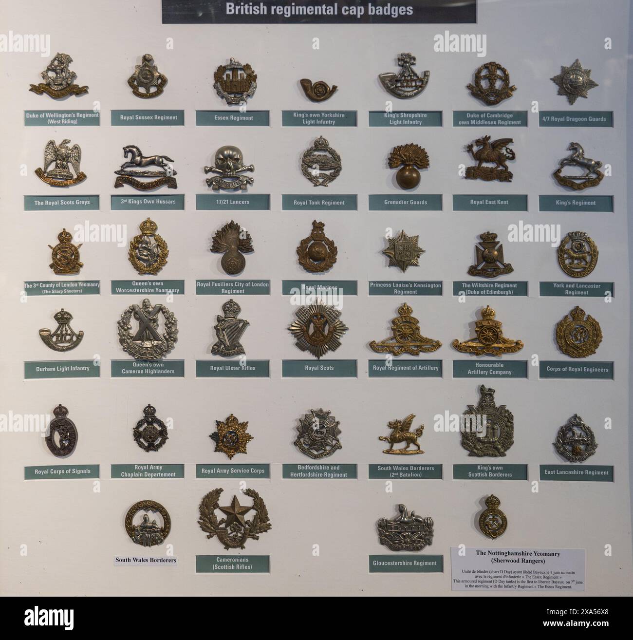 British army royal corps signals hi-res stock photography and images ...