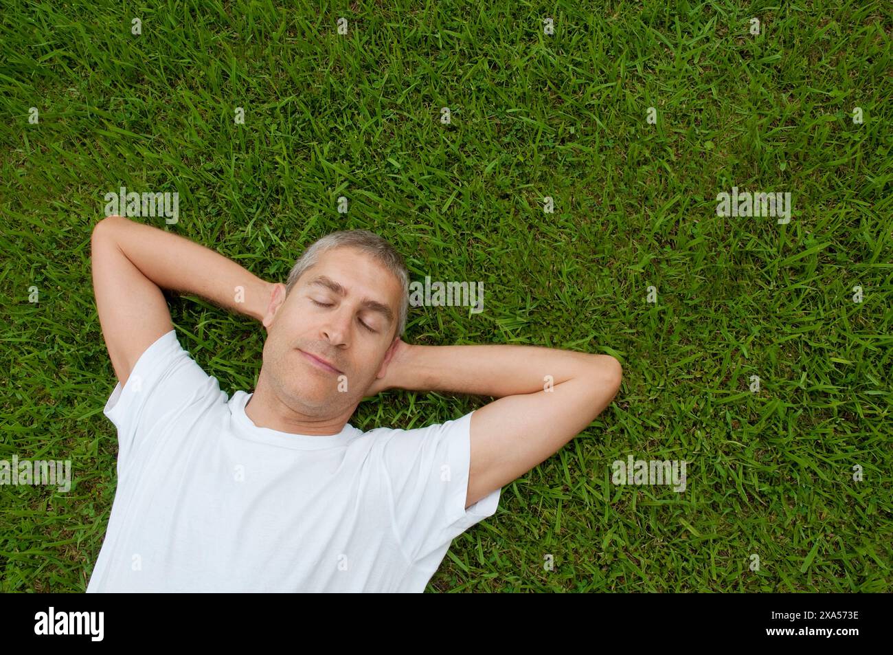 Placid grass hi-res stock photography and images - Alamy