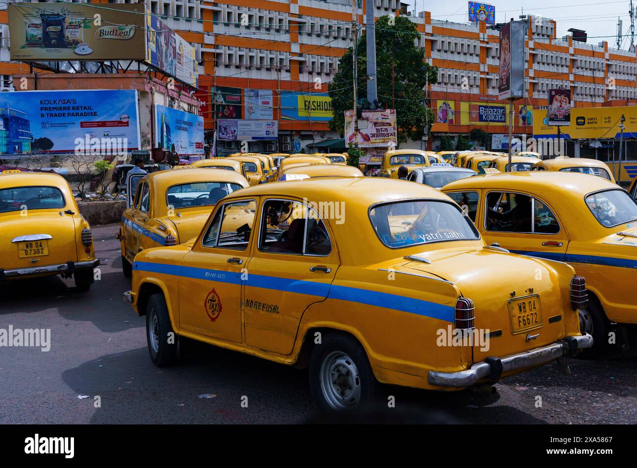 Kolkata, India - 20 November 2023: the traditional yellow Ambassador ...