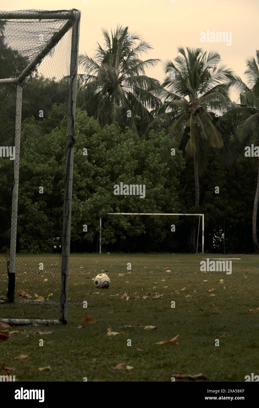 Soccer goal in landscape hi-res stock photography and images - Alamy