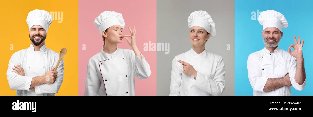 Collage with photos of professional chefs on different color ...