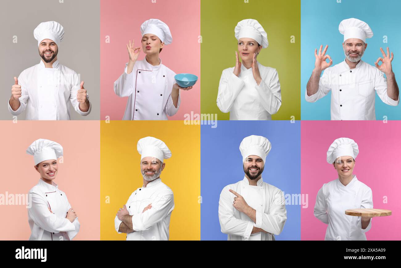 Collage with photos of professional chefs on different color ...