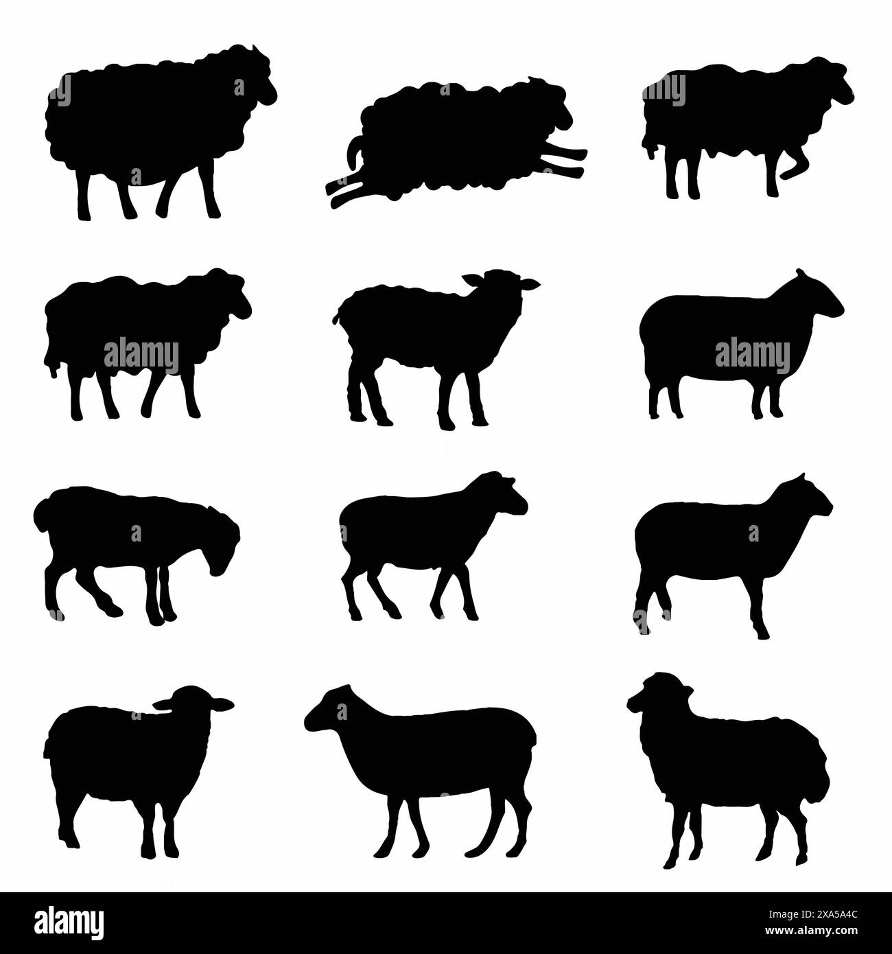 Livestock sheep farm farming Stock Vector Images - Alamy