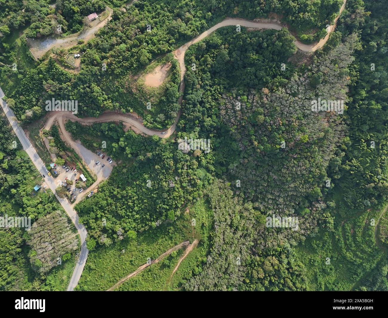 An aerial view of a dirt road winding through lush jungle with dense ...