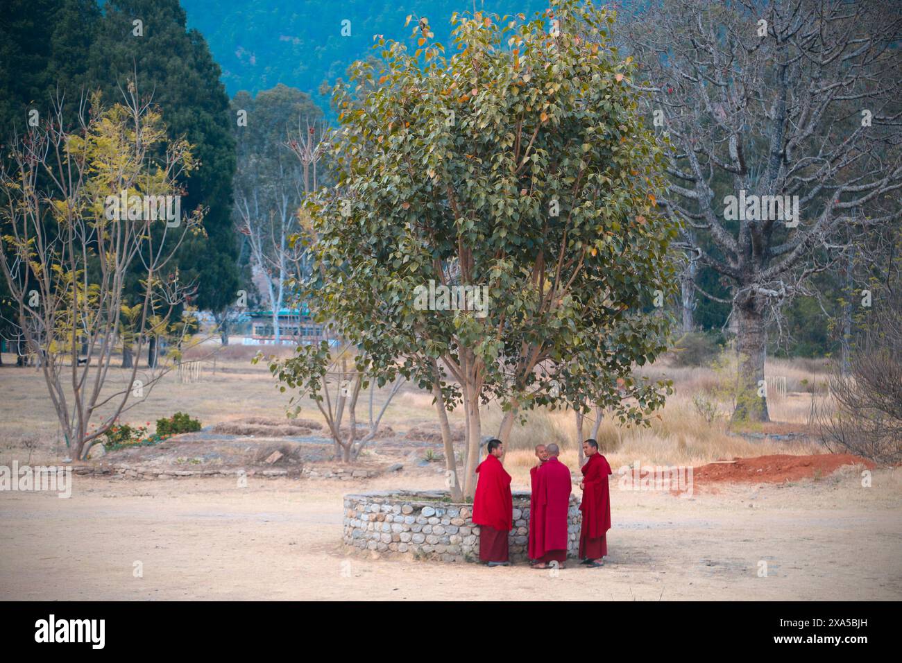 Group monks hi-res stock photography and images - Alamy