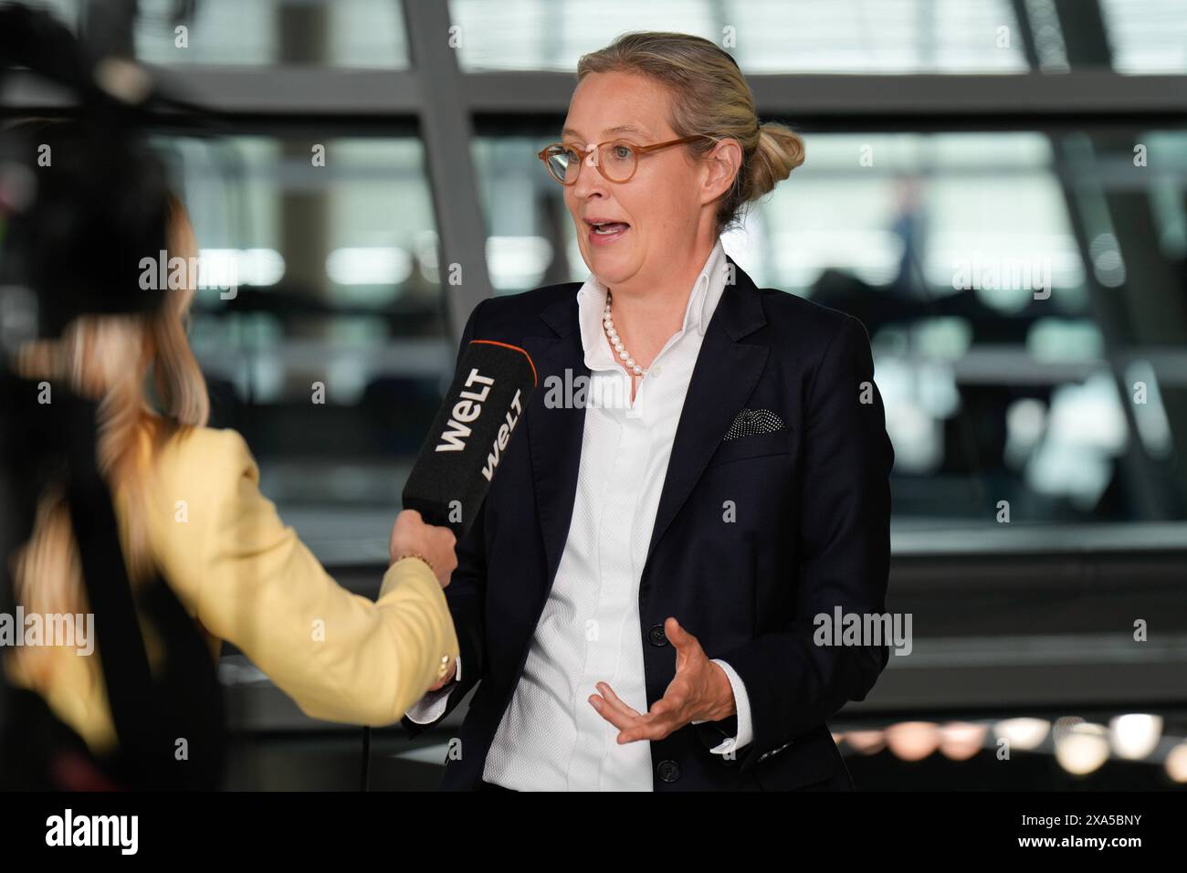 AfD-Bundestagsfraktion, Alice Weidel Vorsitzende der AfD ...